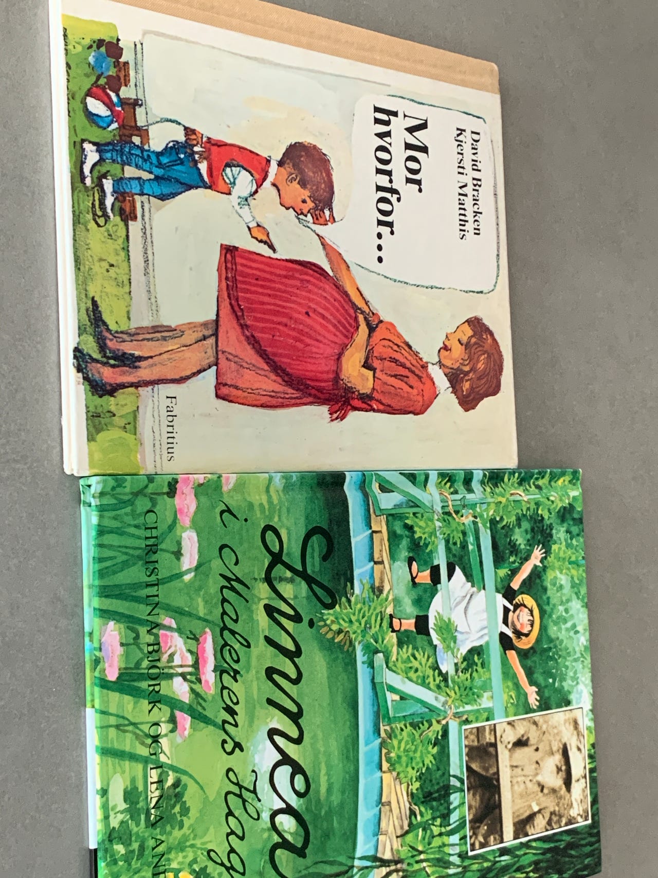 Mor hvorfor…. Linnea i Malerens hage | FINN-torget
