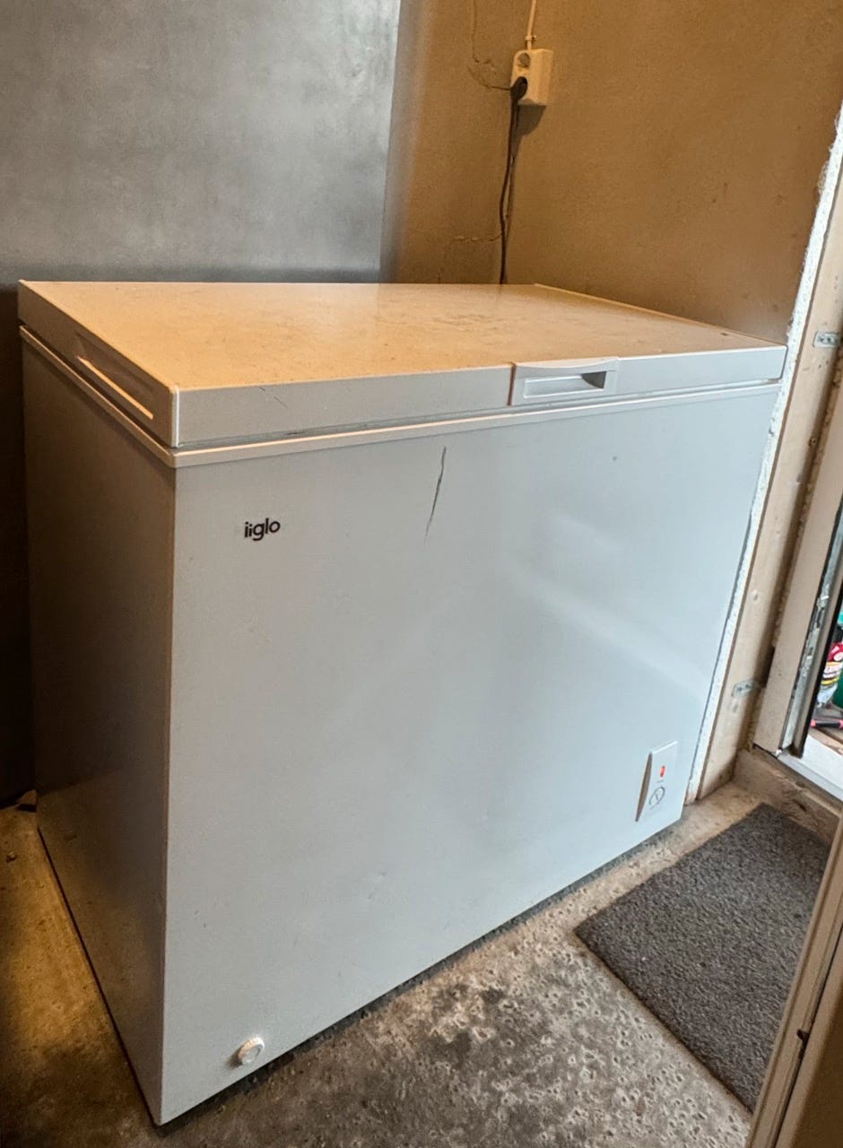 Iglo fryser selges billig grunnet flytting | FINN-torget