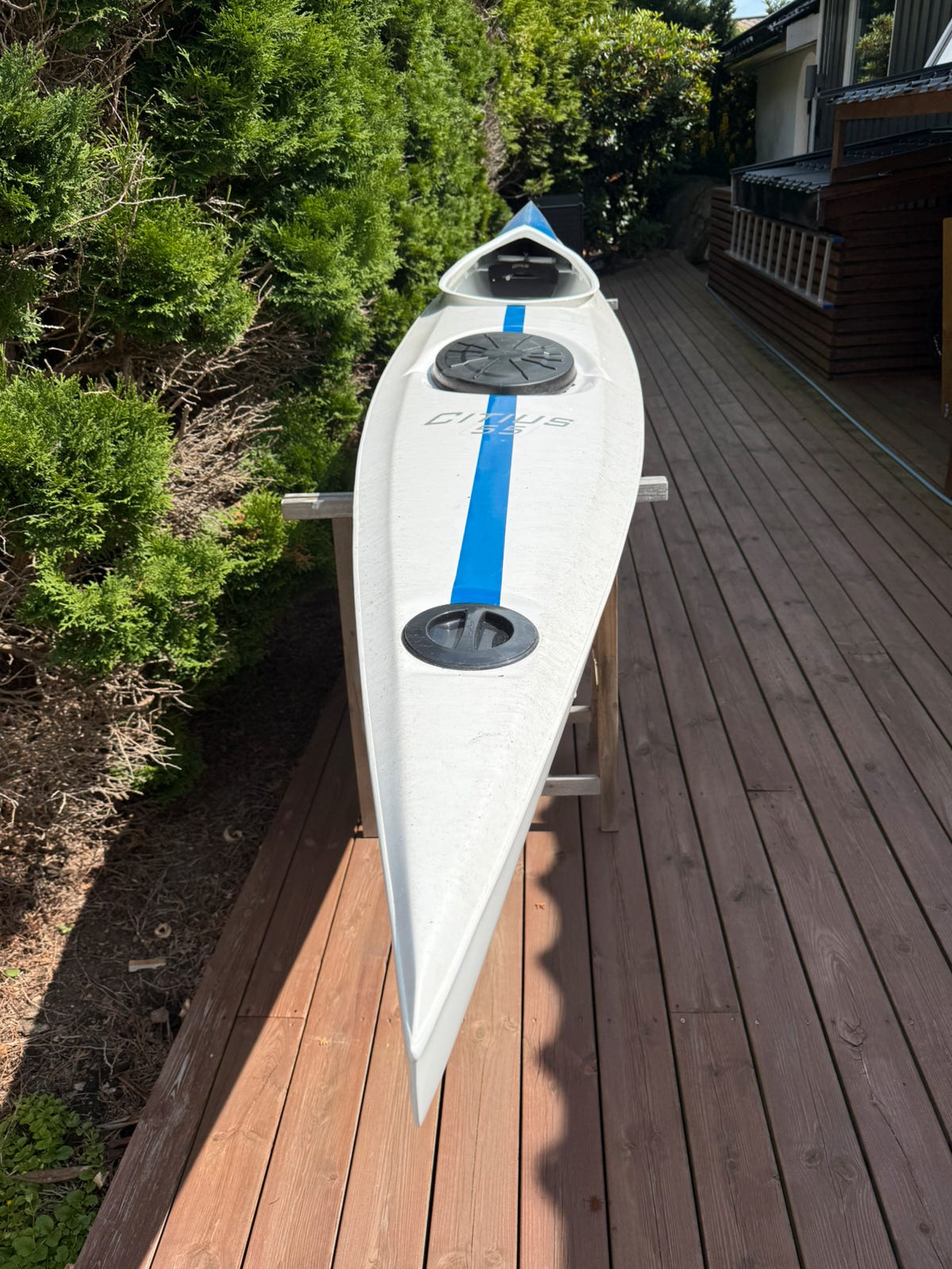 Citius 55 selges | FINN-torget