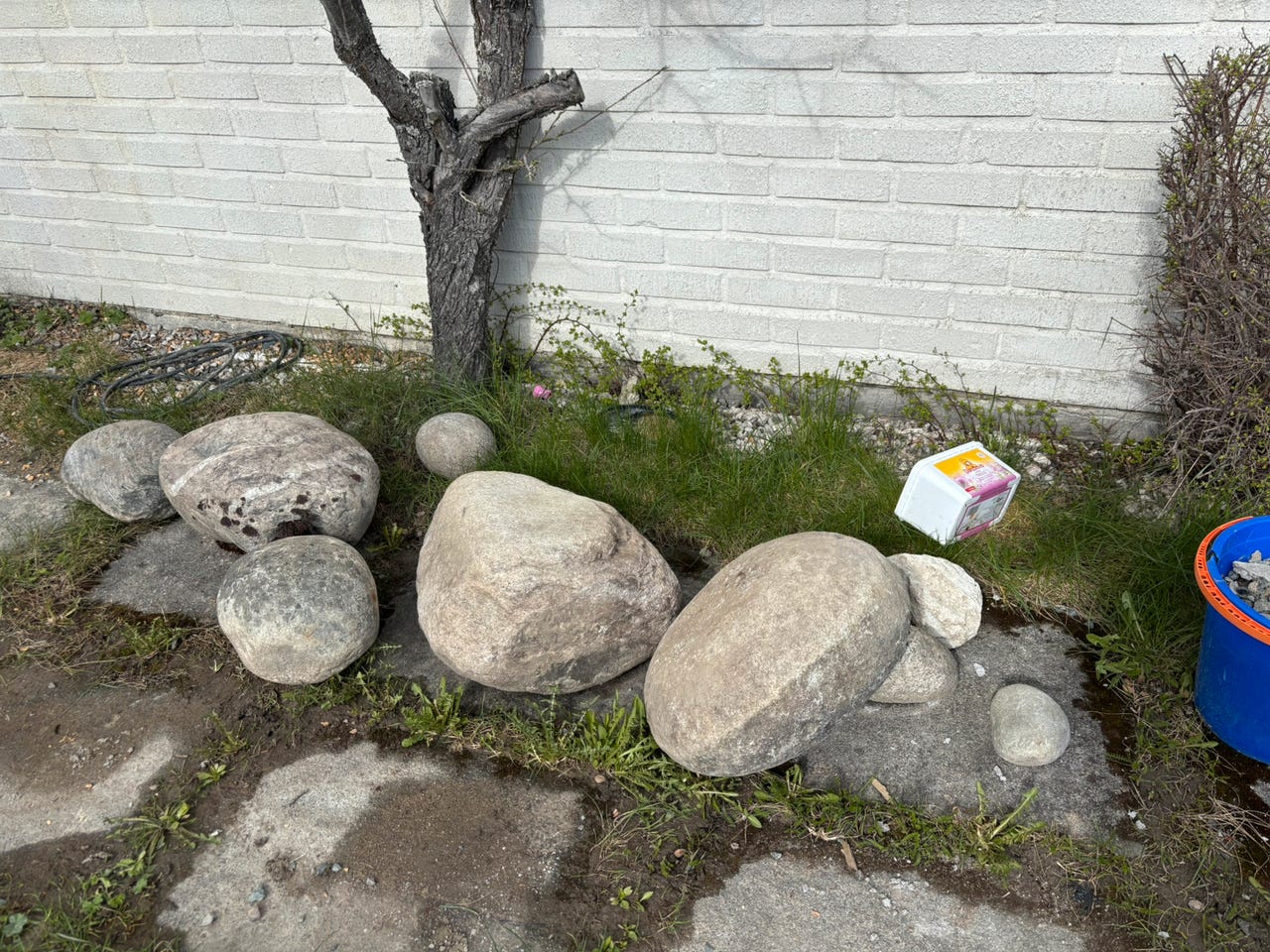 Store steiner | FINN-torget