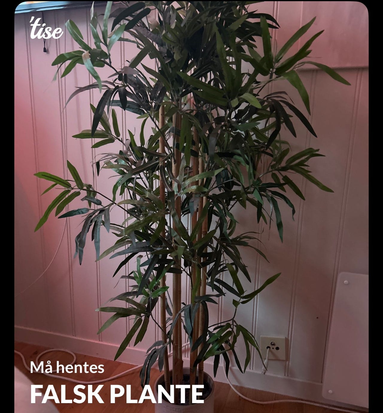 Falsk plante | FINN-torget