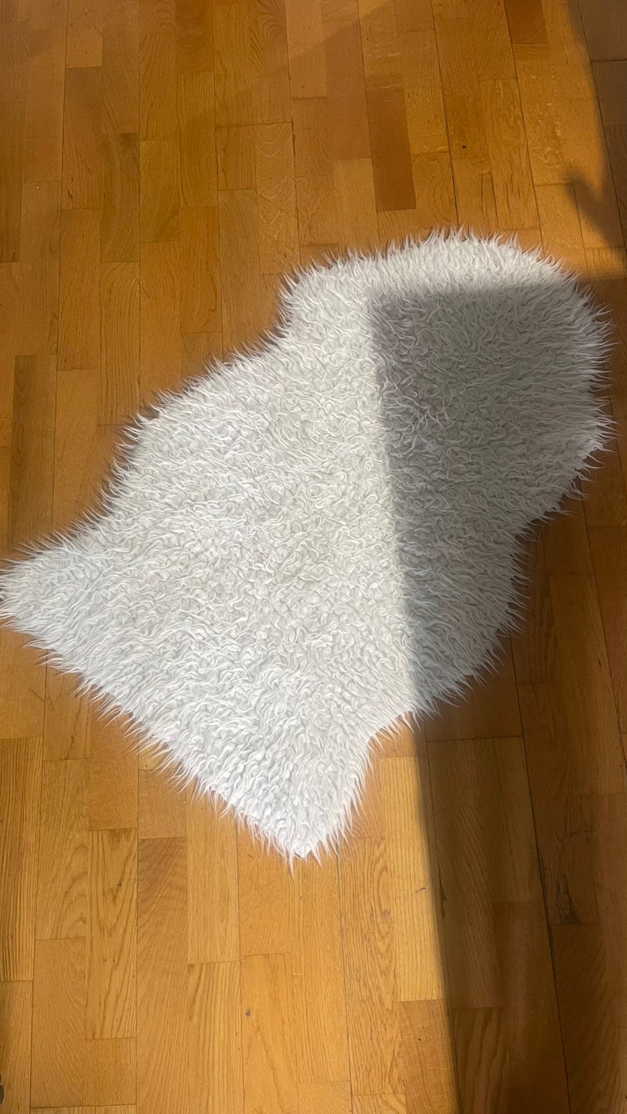 nic | FINN-torget