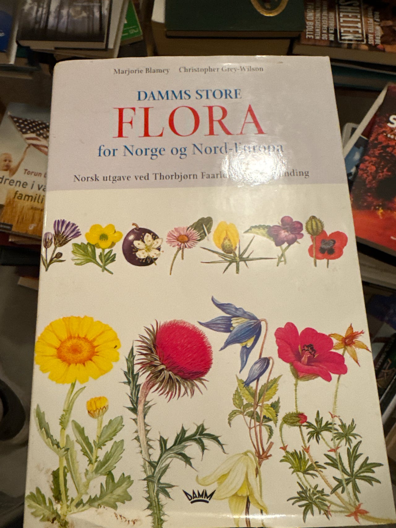 Damms store FLORA for Norge og Nord Europa | FINN-torget