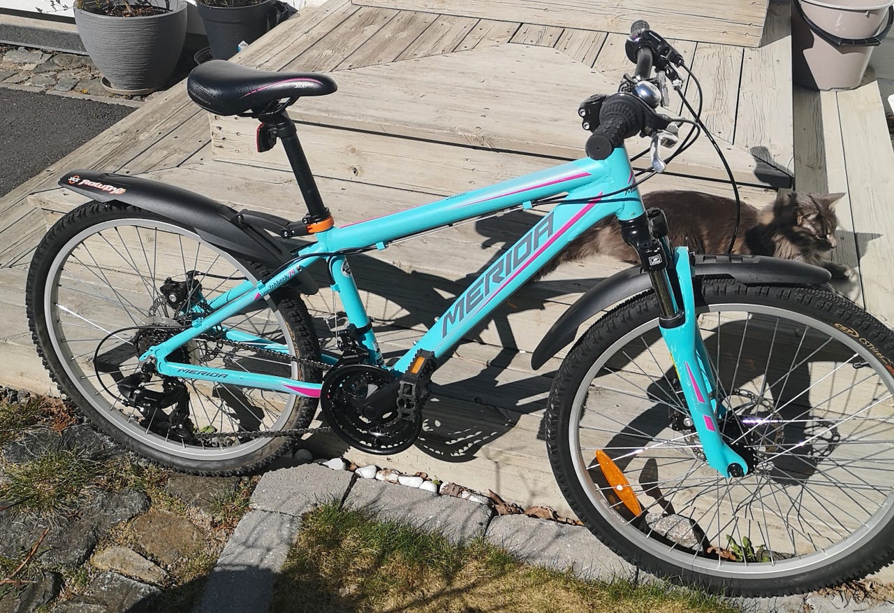 Merida Juliet 24' | FINN-torget