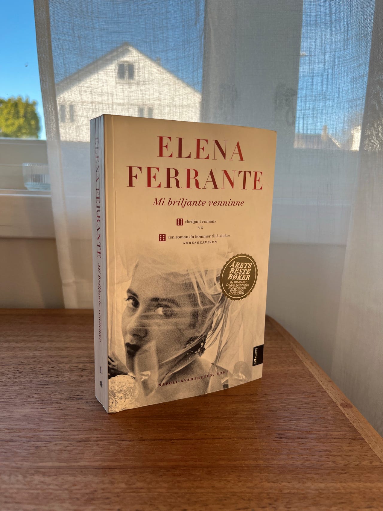 Mi briljante venninne - Elena Ferrante | FINN-torget