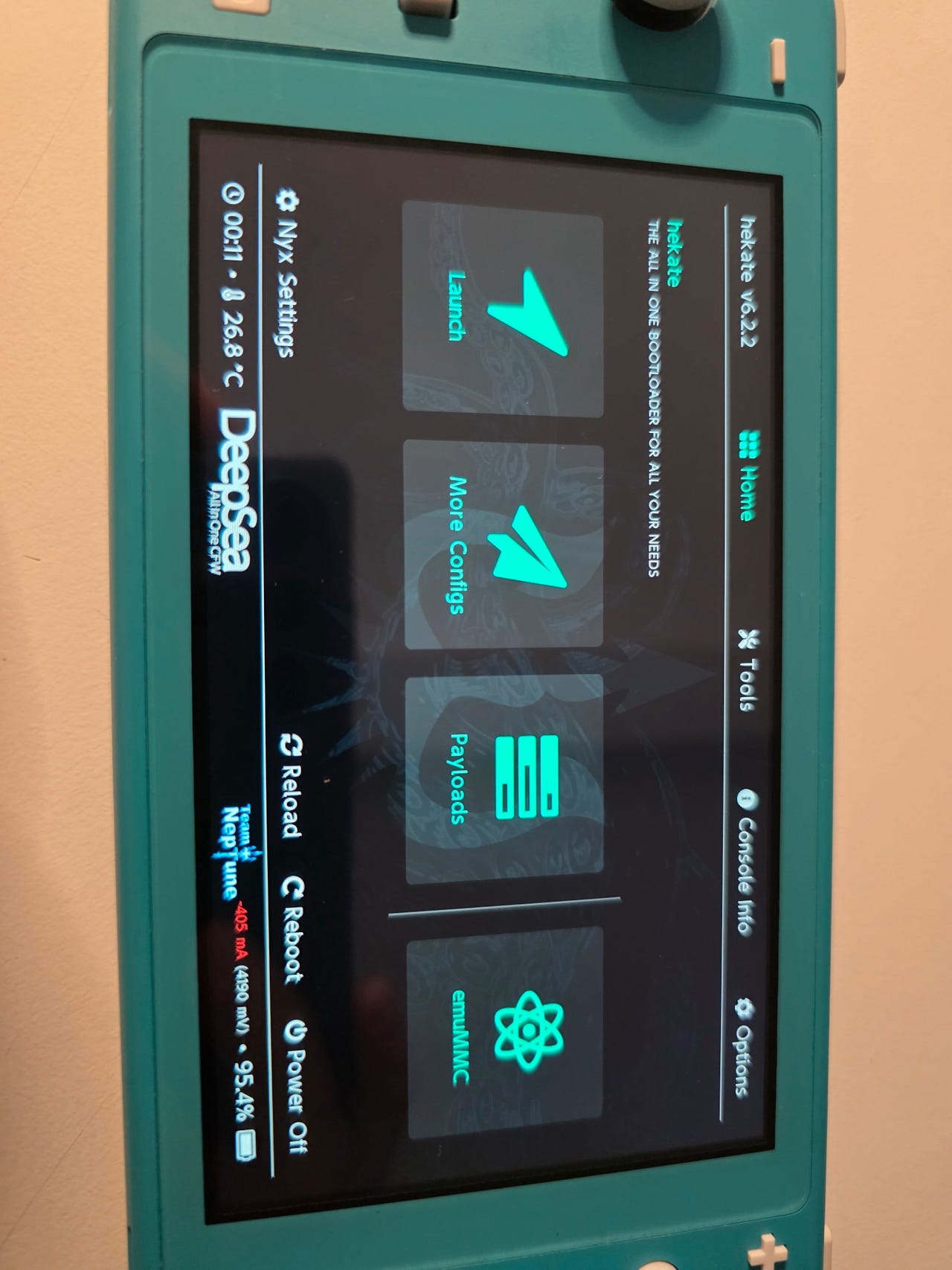 Nintendo Switch Lite med picofly modchip | FINN-torget