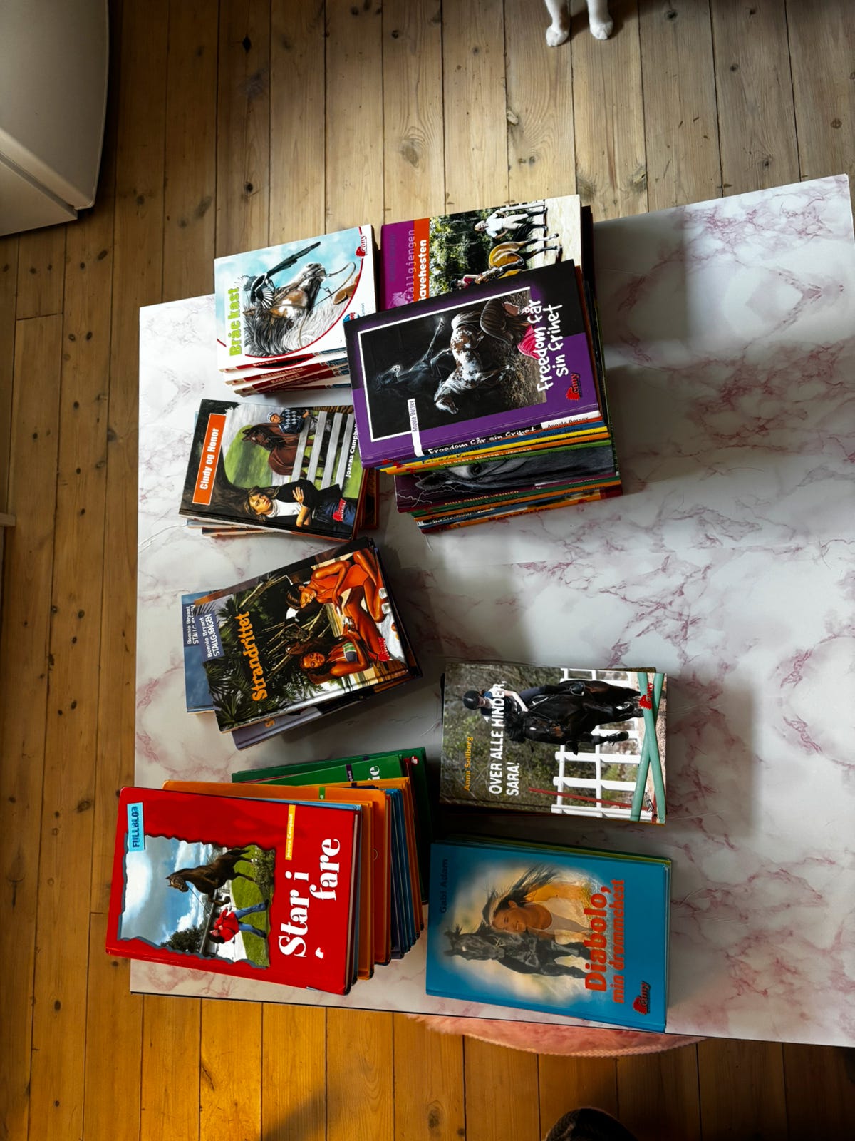 Stor pakke med hestebøker fra Penny klubben - hbo 300 | FINN-torget