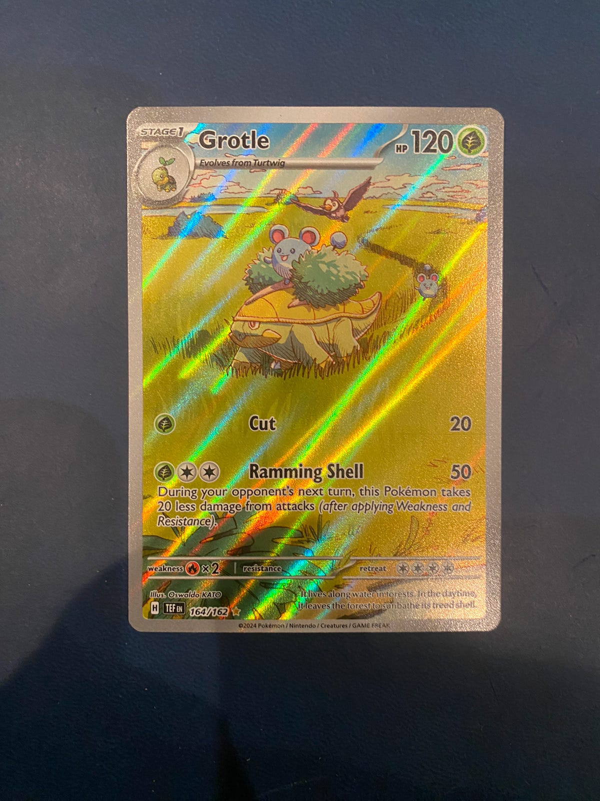 Grotle 164/162 Sv05 Temporal Forces Holo Pokemon | FINN-torget