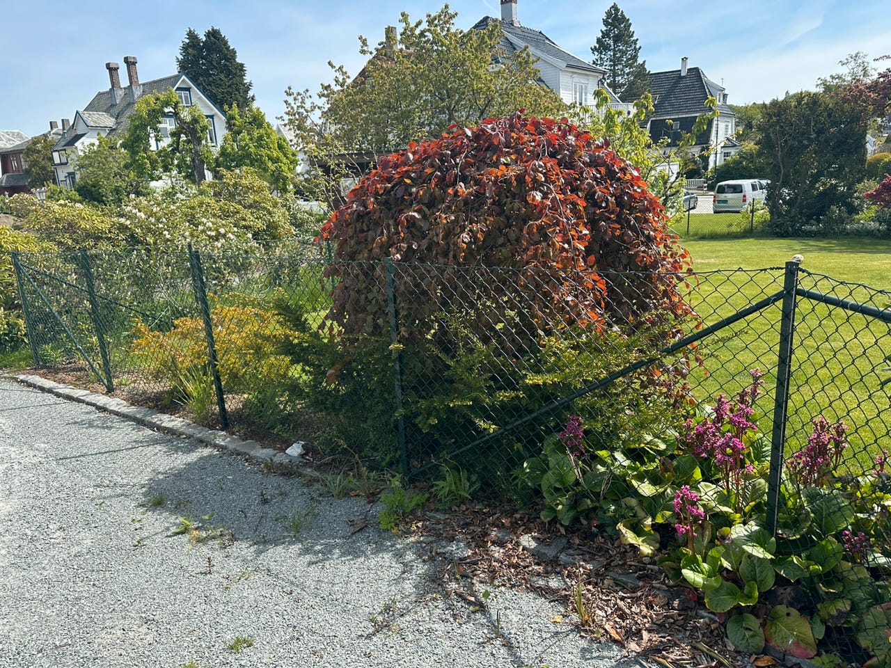 Hagegjerde og port | FINN-torget