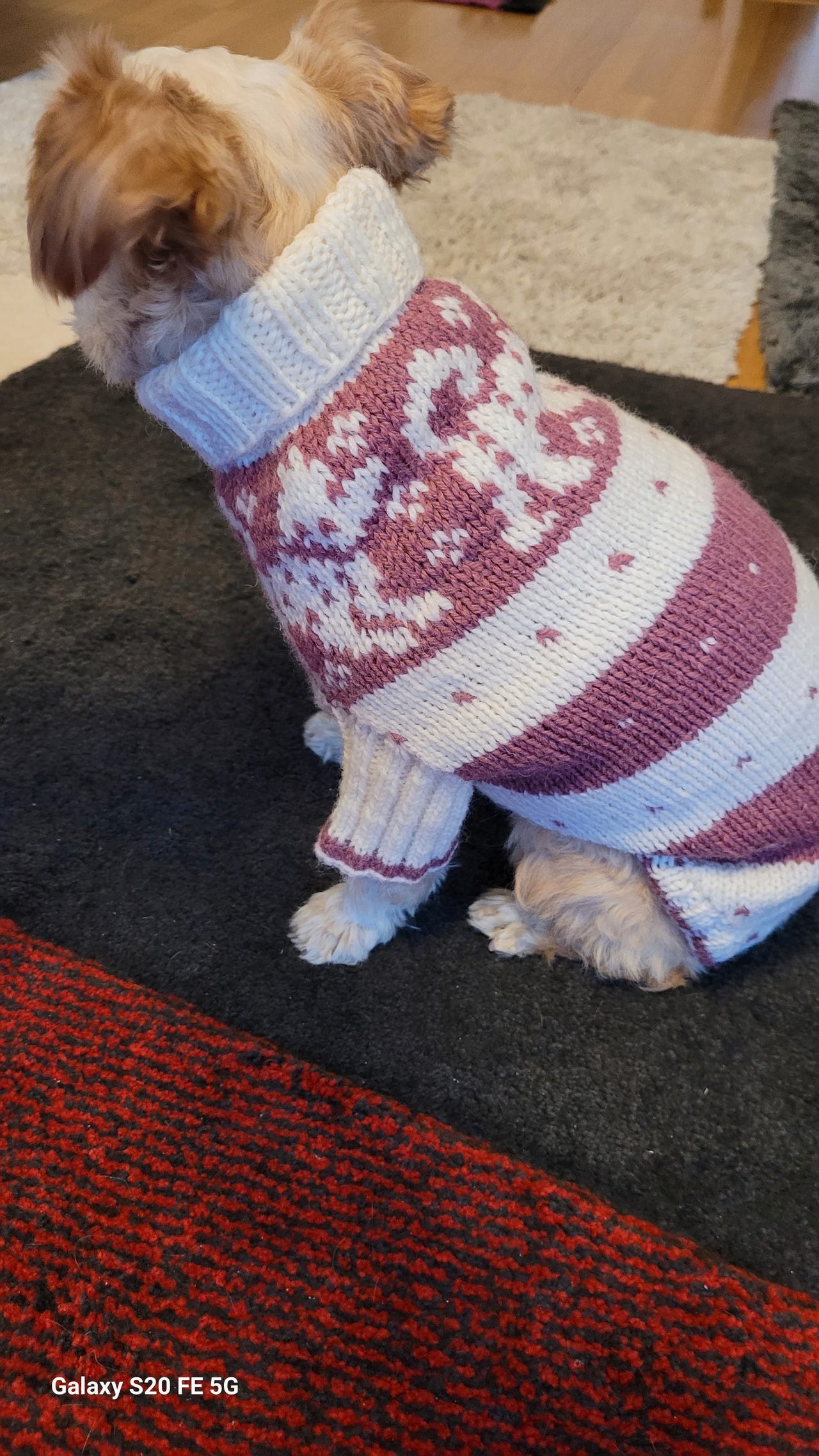 Nystrikket ️ Kjempesøt i rosa og vit | FINN-torget