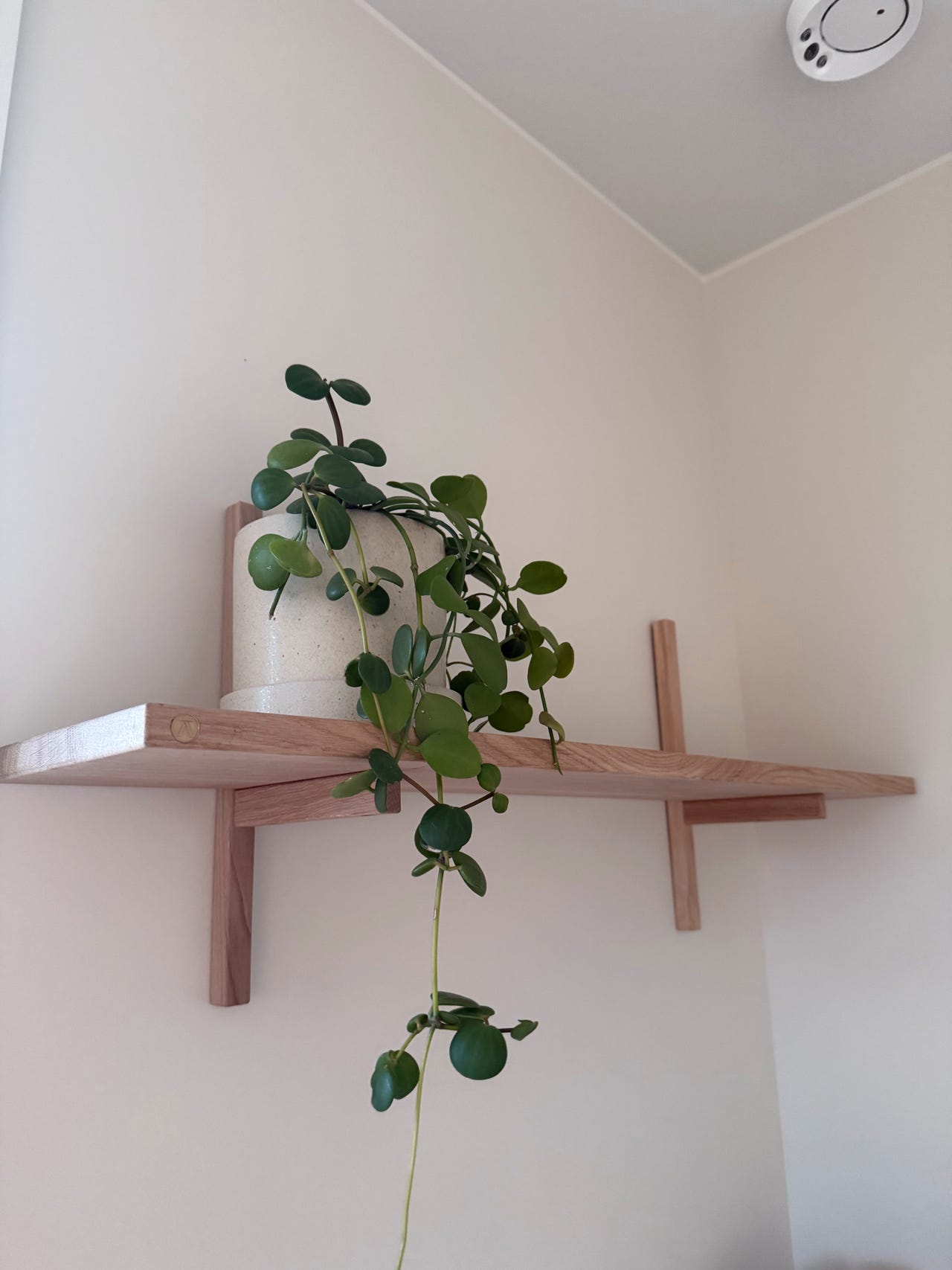 Eik hyller. A light shelf oak fra Andersen Furniture . | FINN-torget