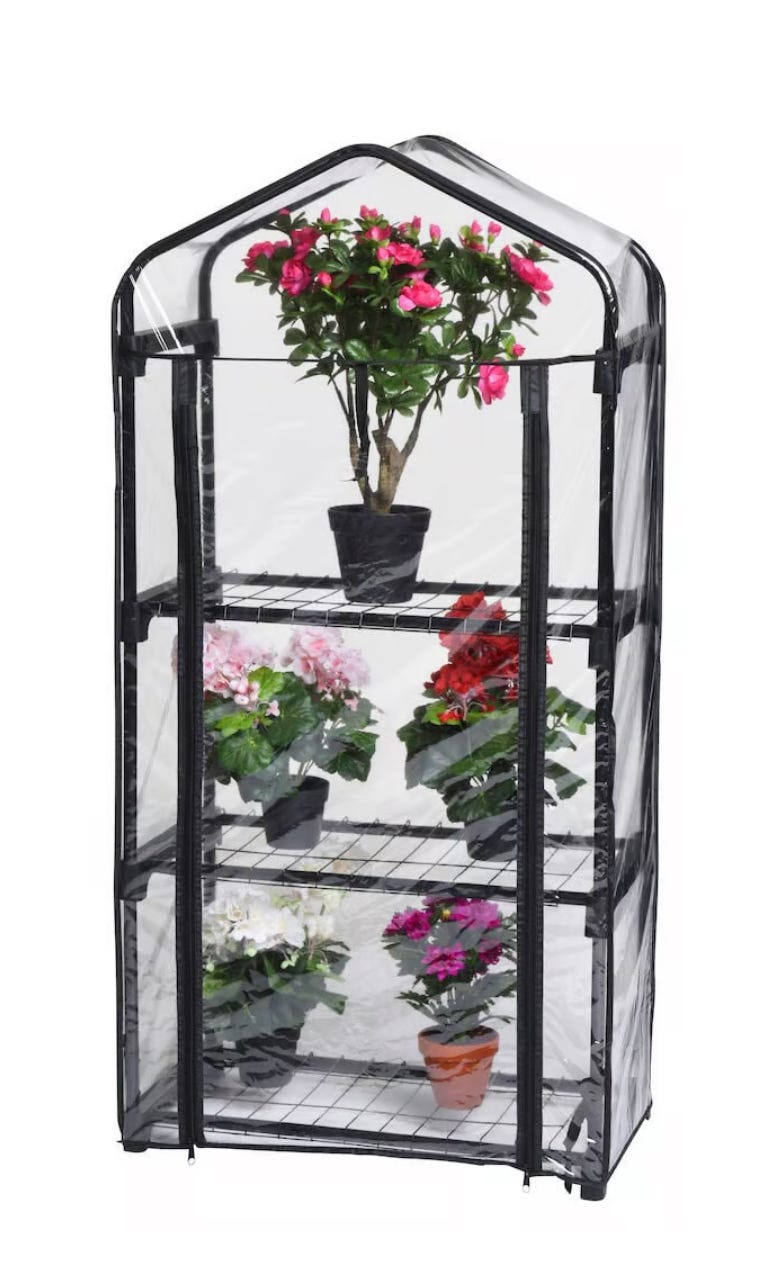 Perfekt, lite drivhus | FINN-torget