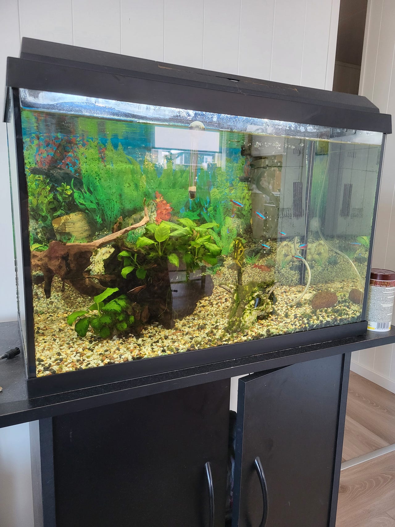 Akvarie 60 liter selges. Merke Juwel | FINN-torget