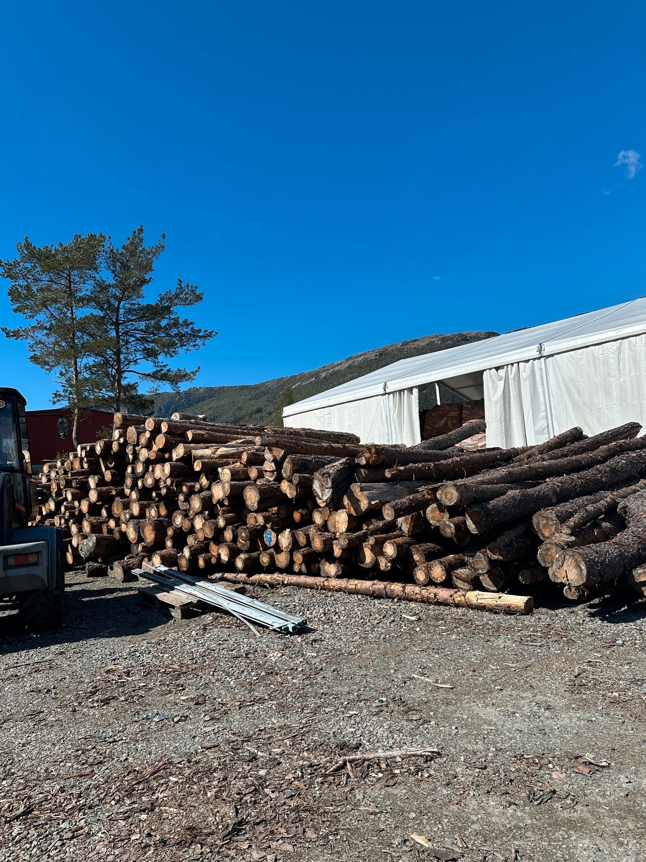 Furu levert hjem, billig! | FINN-torget