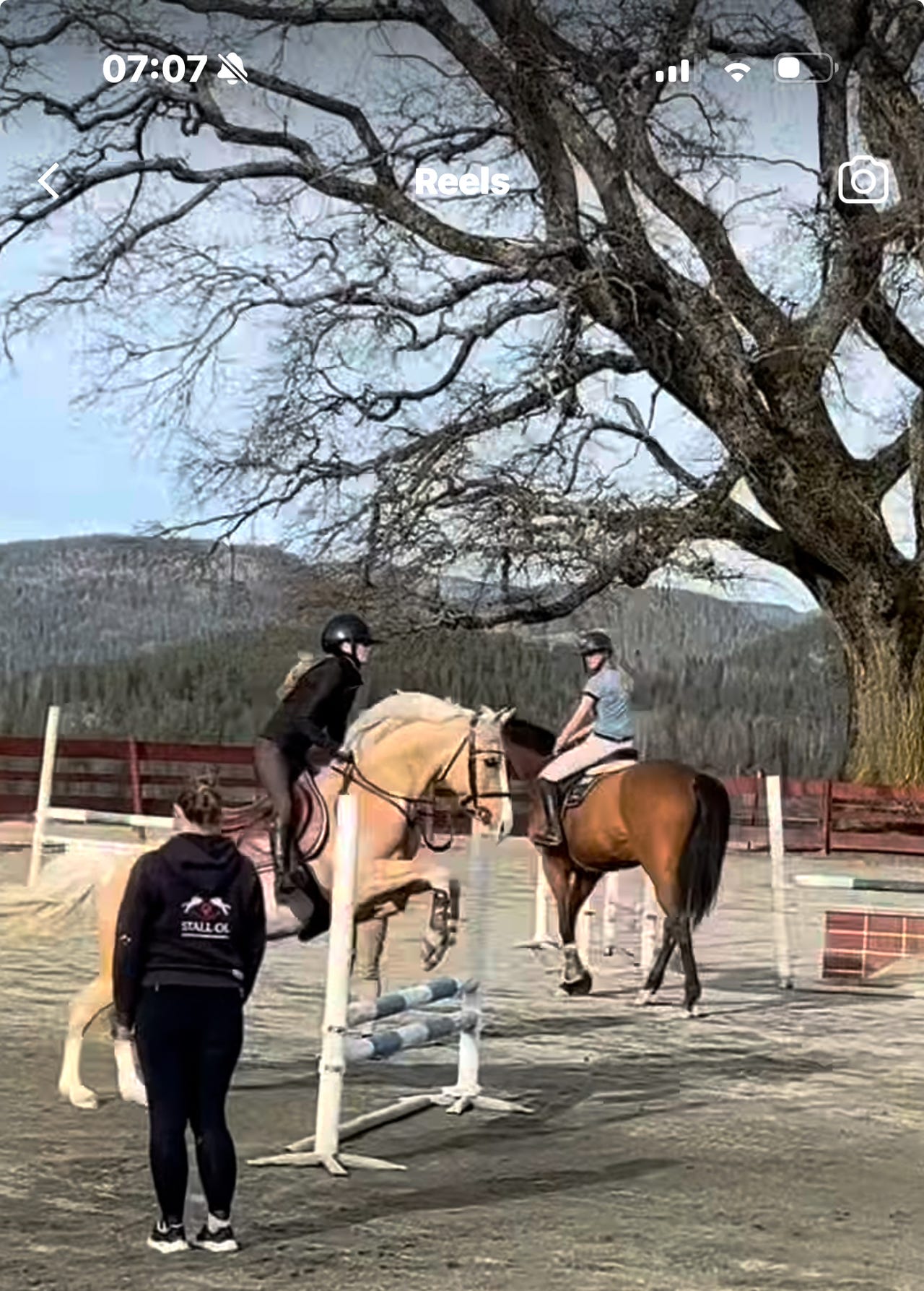 Sjelden vakker kat. 1 ponni | FINN-torget