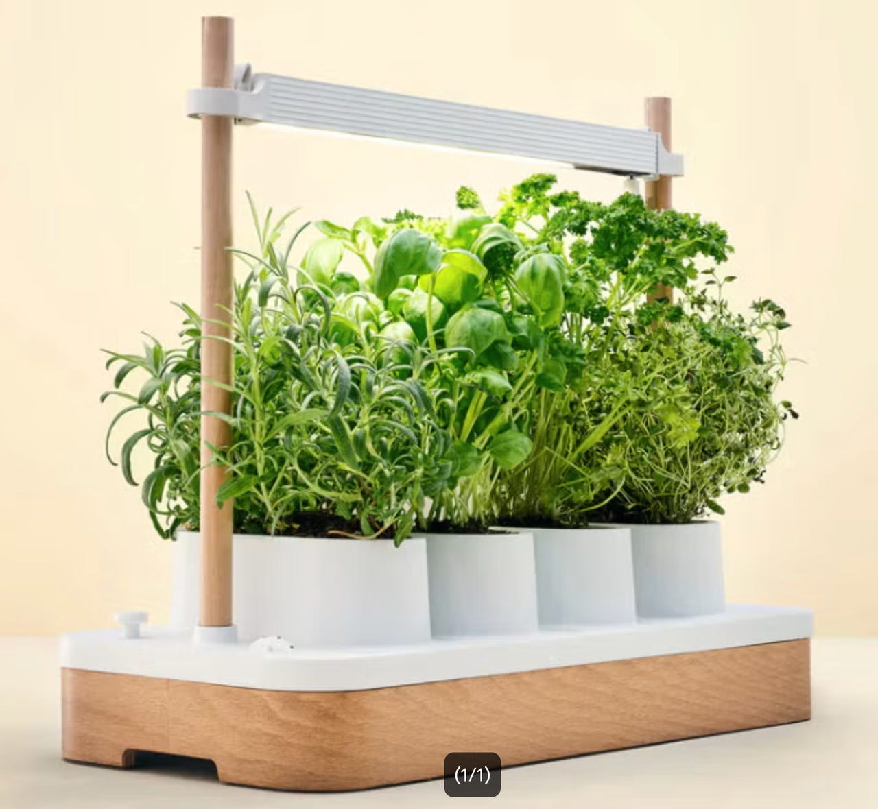 Ønsker å kjøpe Auk mini i eik | FINN-torget