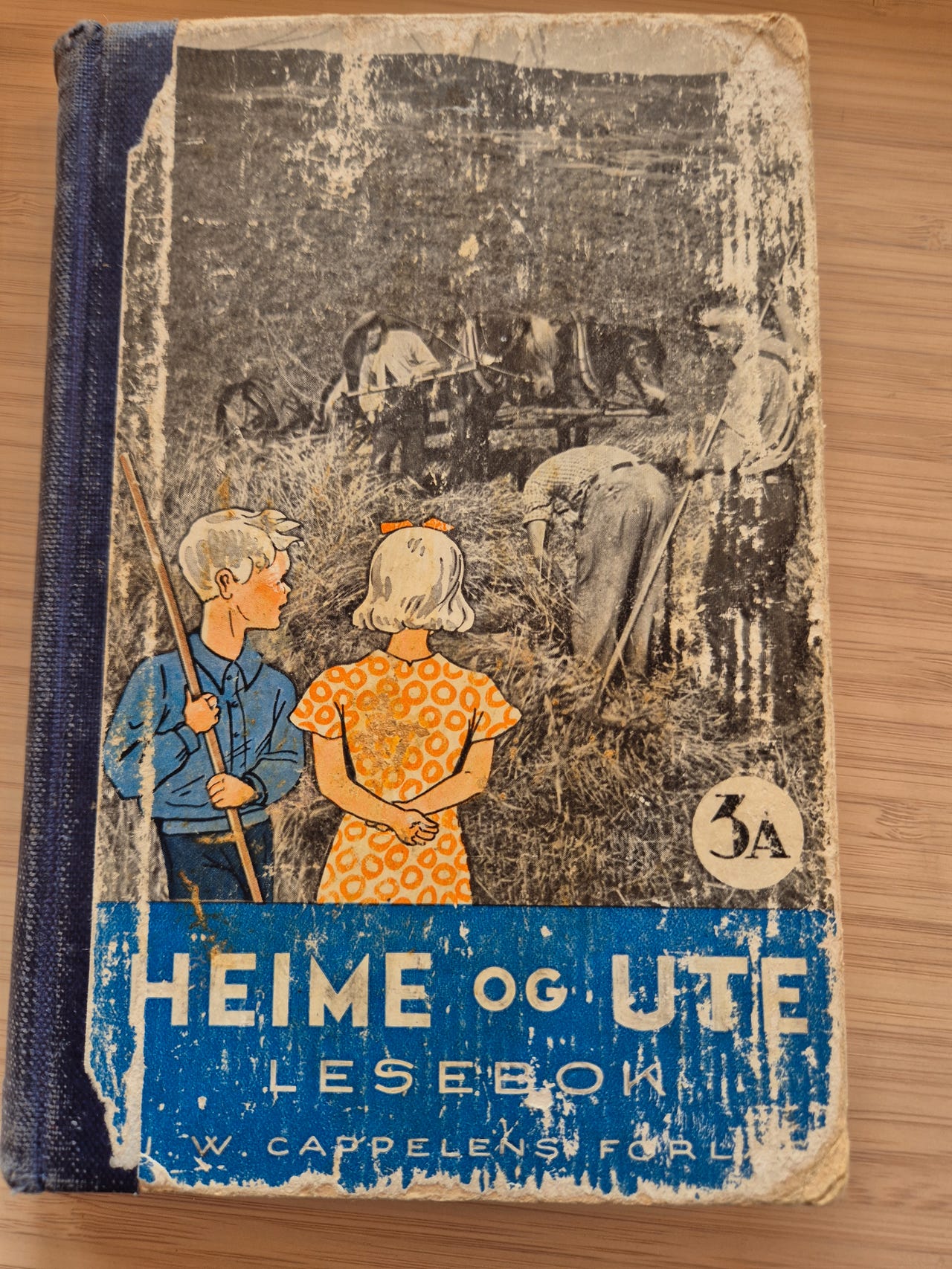 Heime og ute lesebok 3A | FINN-torget