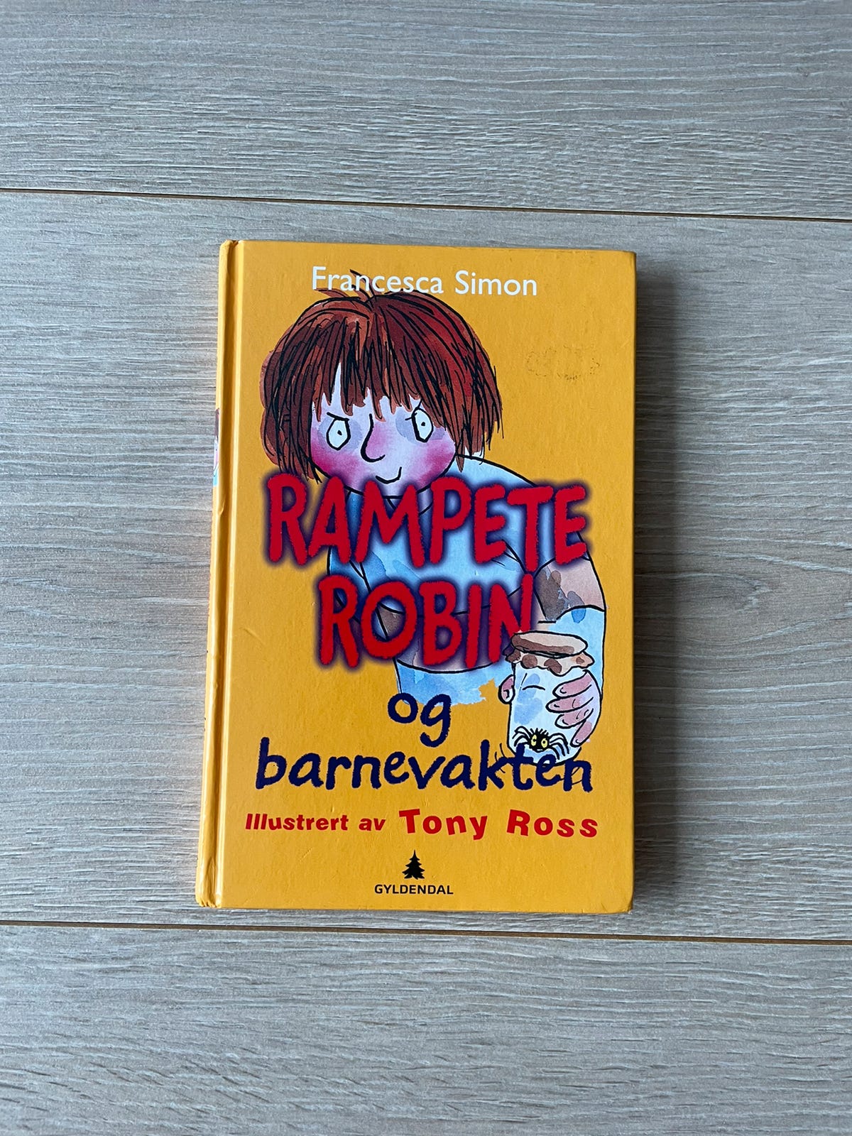 Rampete Robin og barnevakten | FINN-torget