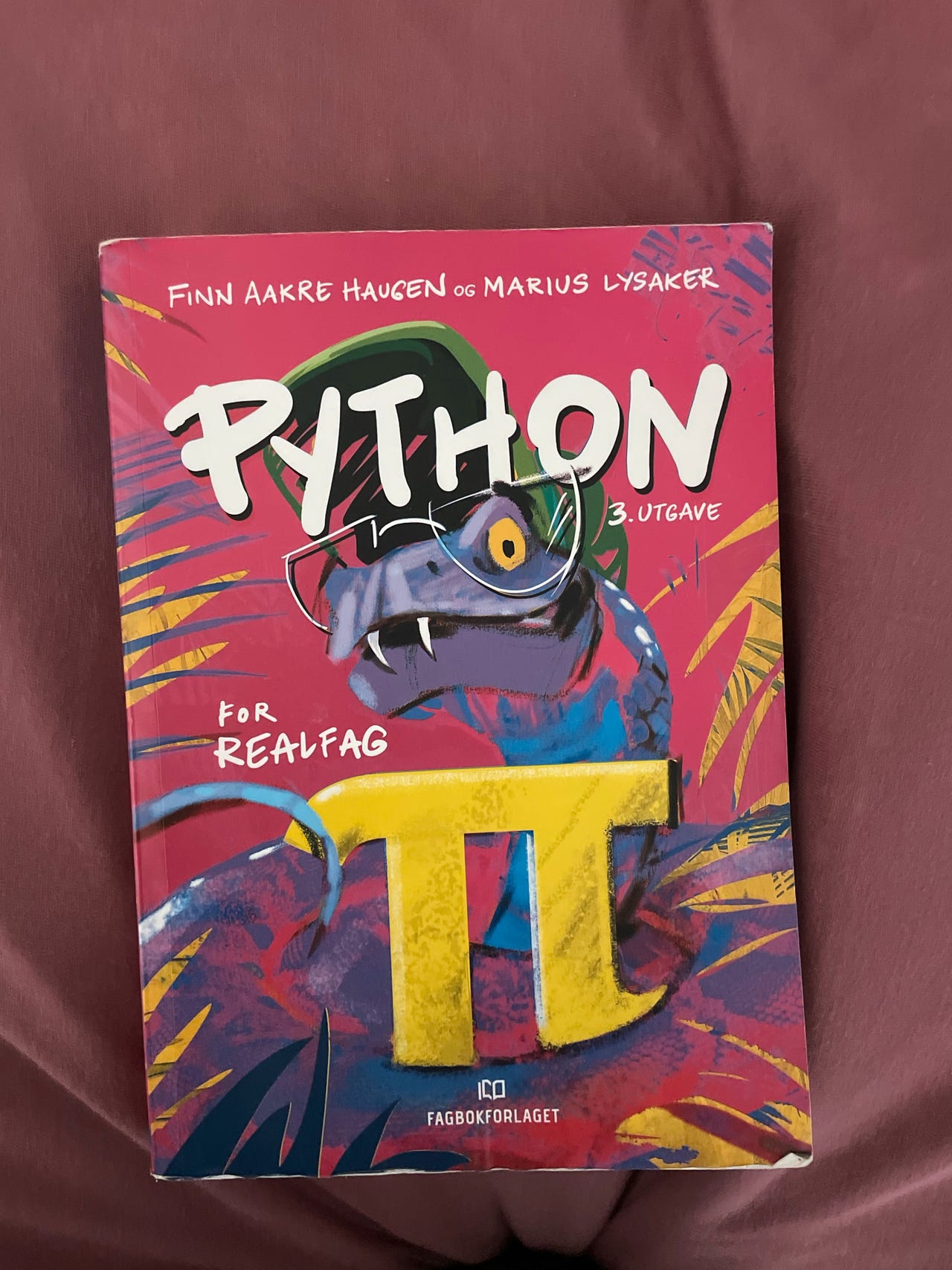Python for realfag 3.utgave | FINN-torget