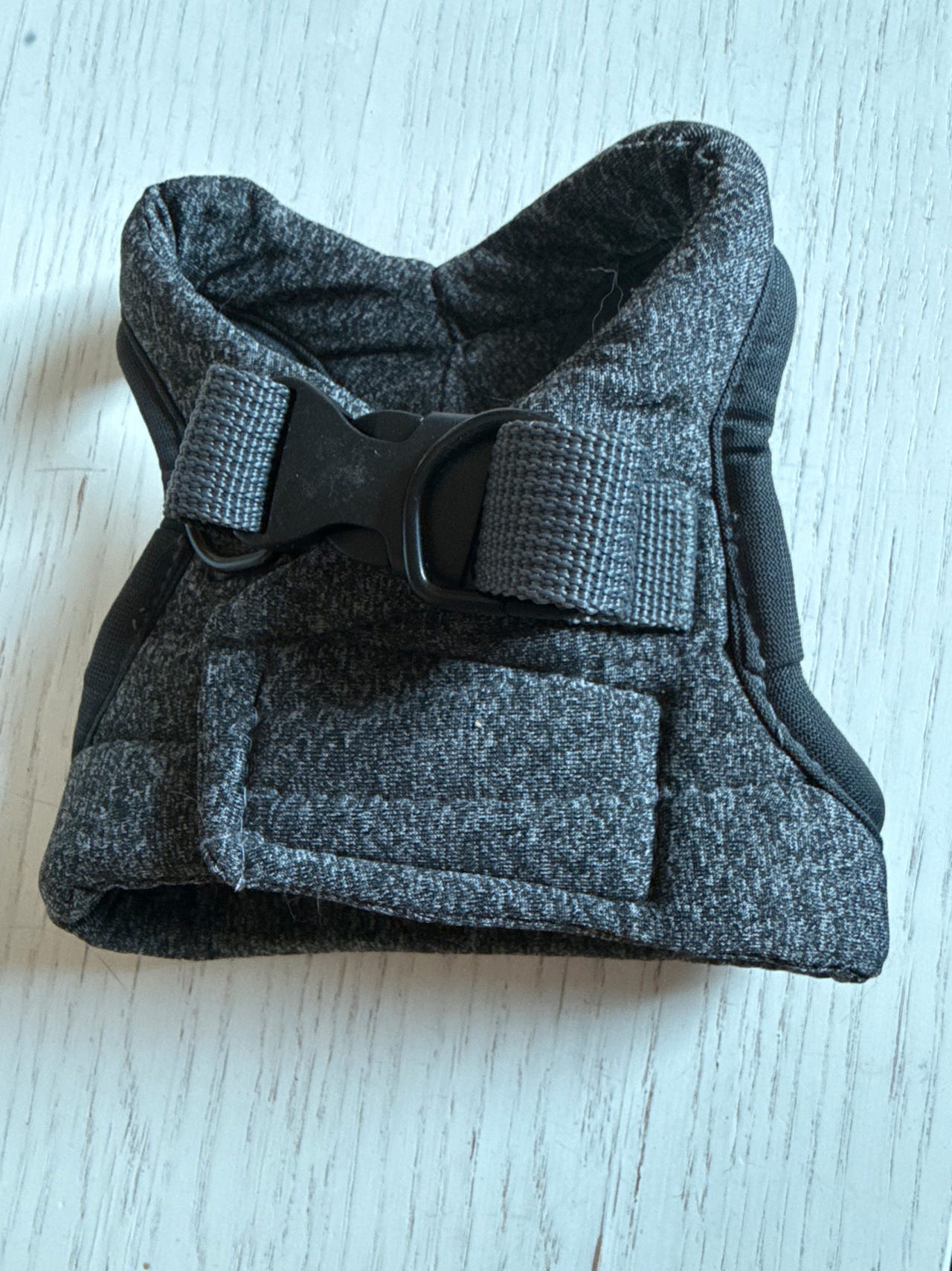 Liten (s) sele til liten katt eller liten hund | FINN-torget