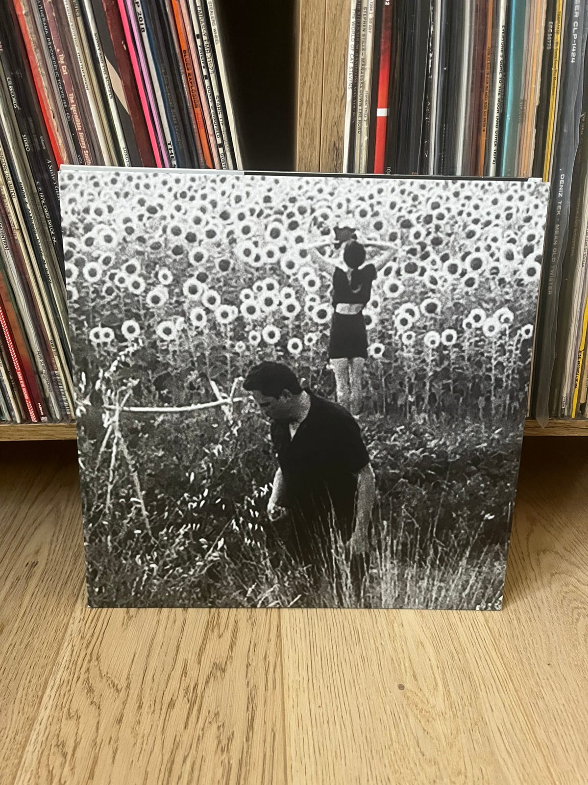 Sun Kill Moon vinyl | FINN-torget