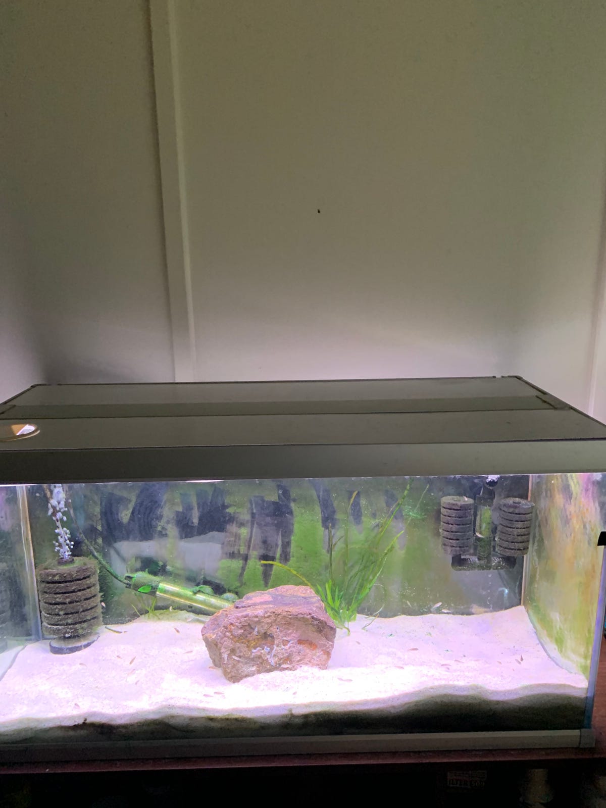 Akvastabil akvarie 112l | FINN-torget