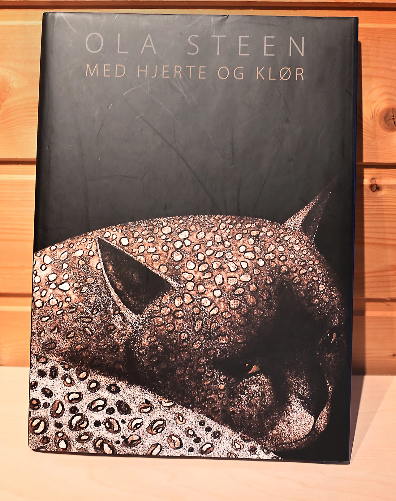 Kunstbok: Ola Steen | FINN-torget