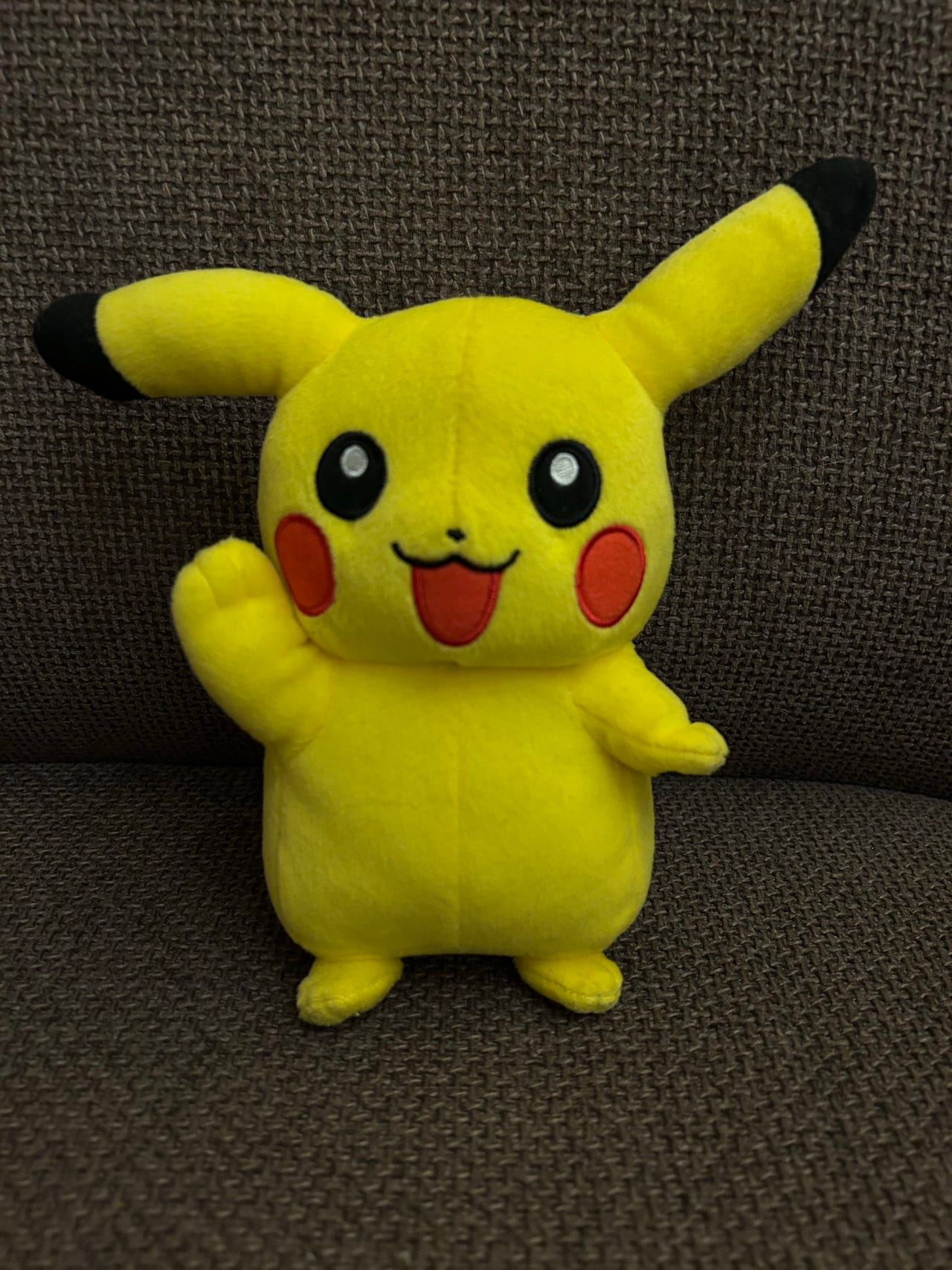 Pokémon Pikachu Plush | FINN-torget