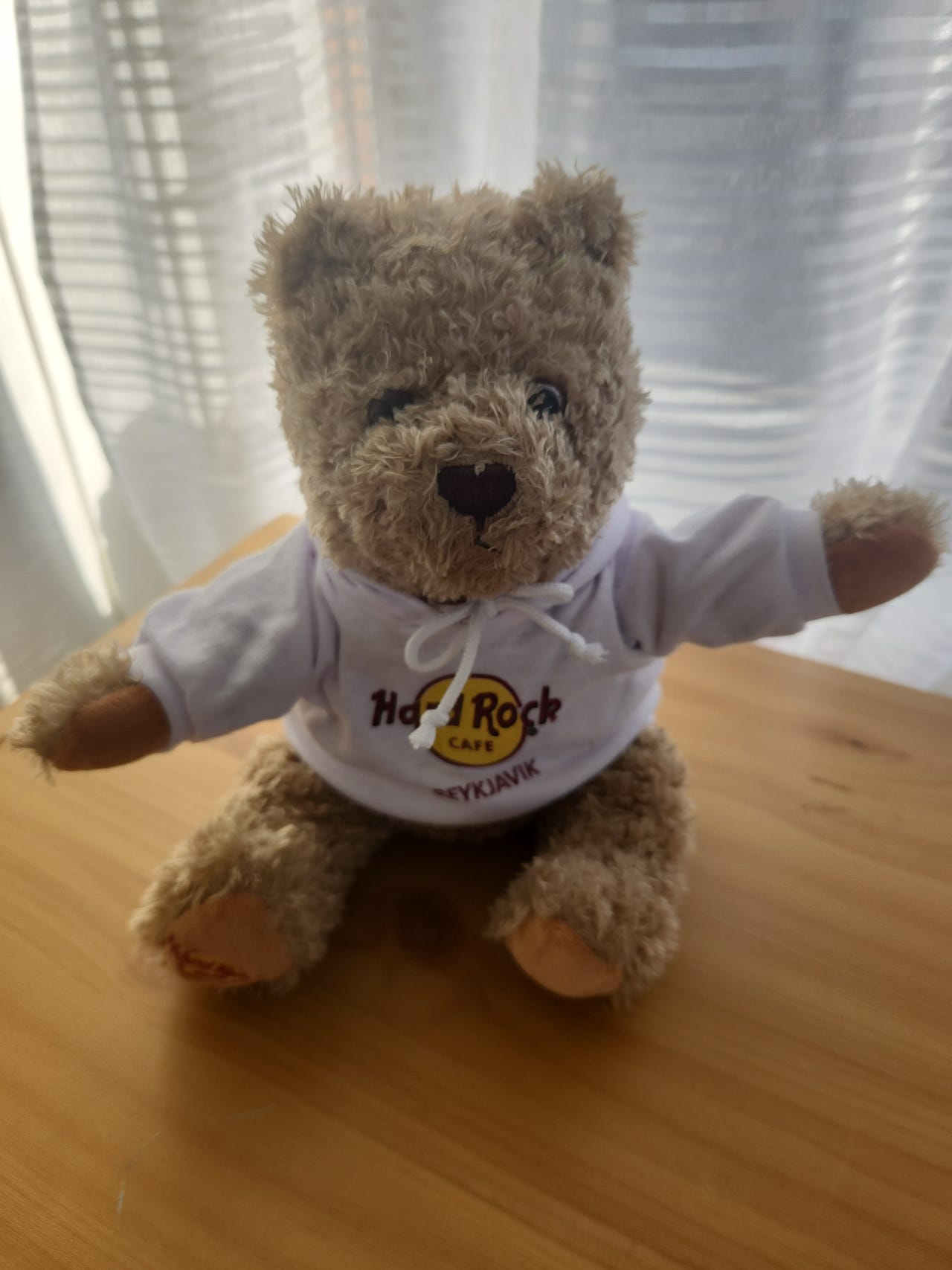 Hard Rock Reykjavik Plush Golden Bear with White Classic Hoodie | FINN ...