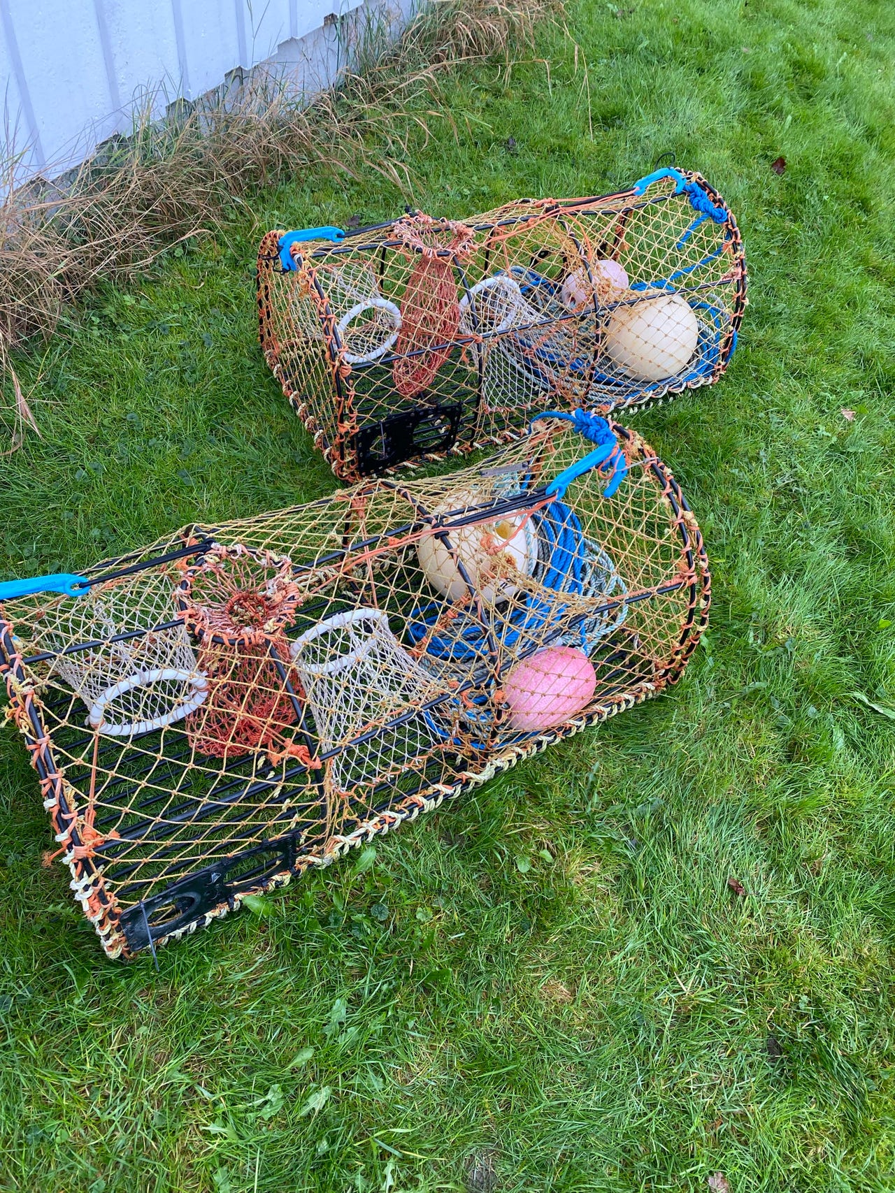 Hummerteiner / krabbeteiner | FINN-torget