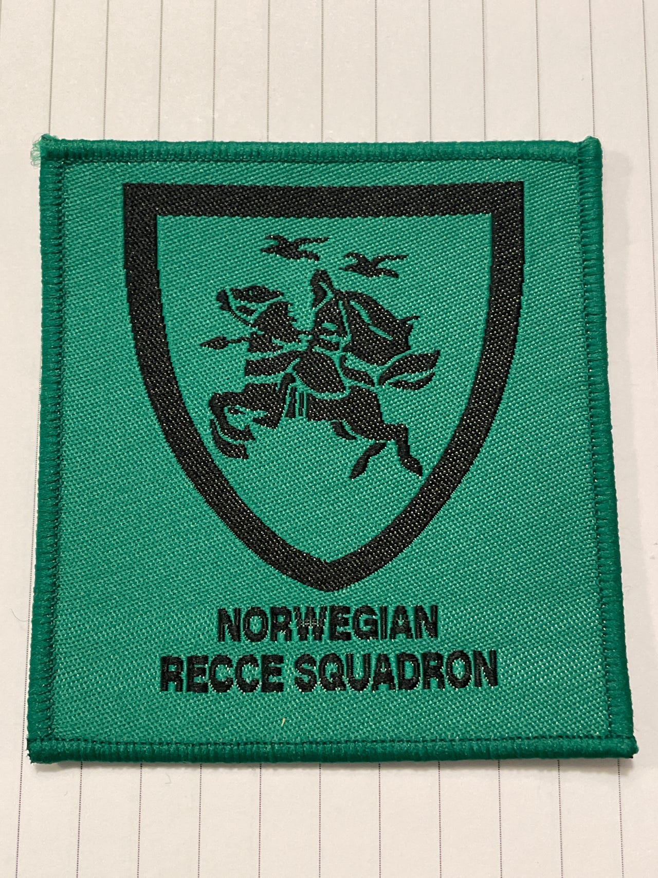 Norwegian Recce Squadron tøymerke - Oppklaring Hæren | FINN-torget