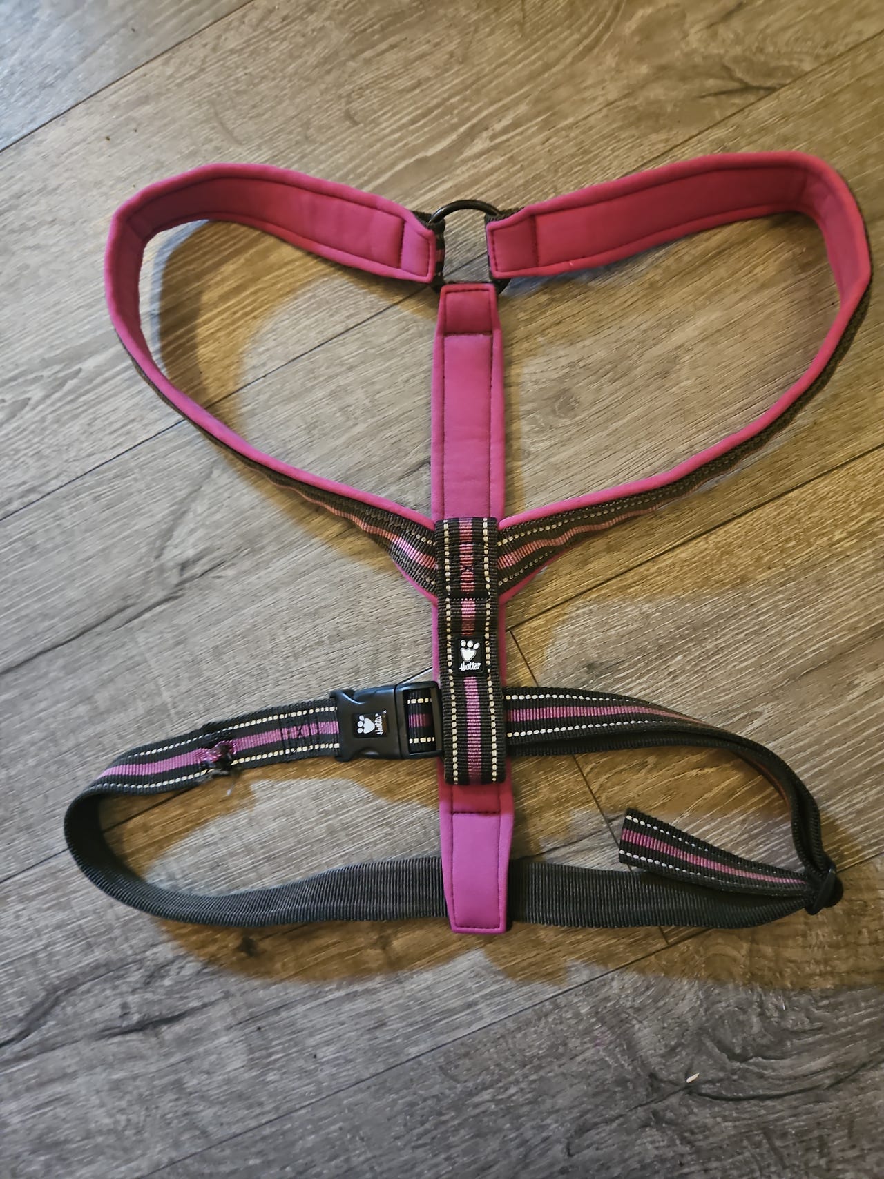 Hurtta collection sele til stor hund | FINN-torget