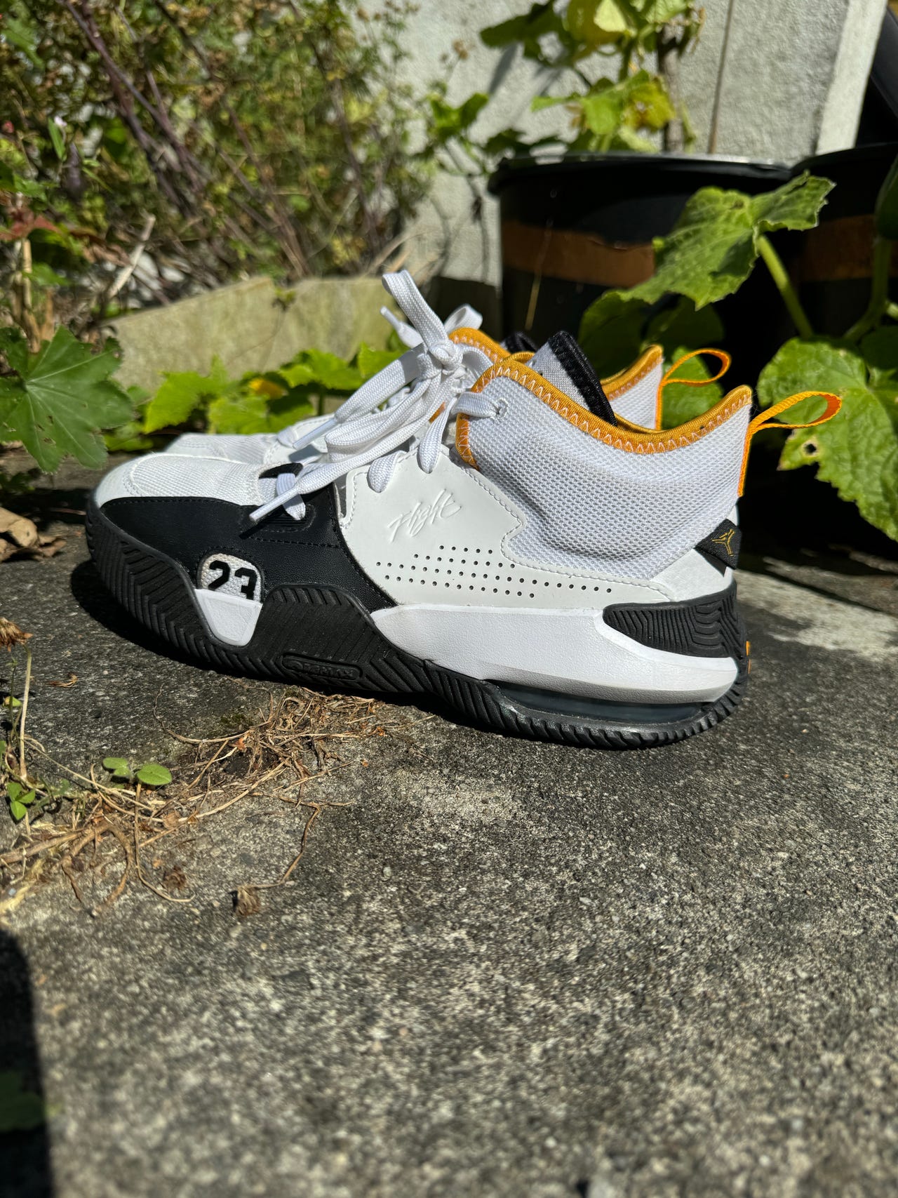 Jordan basket sko | FINN-torget