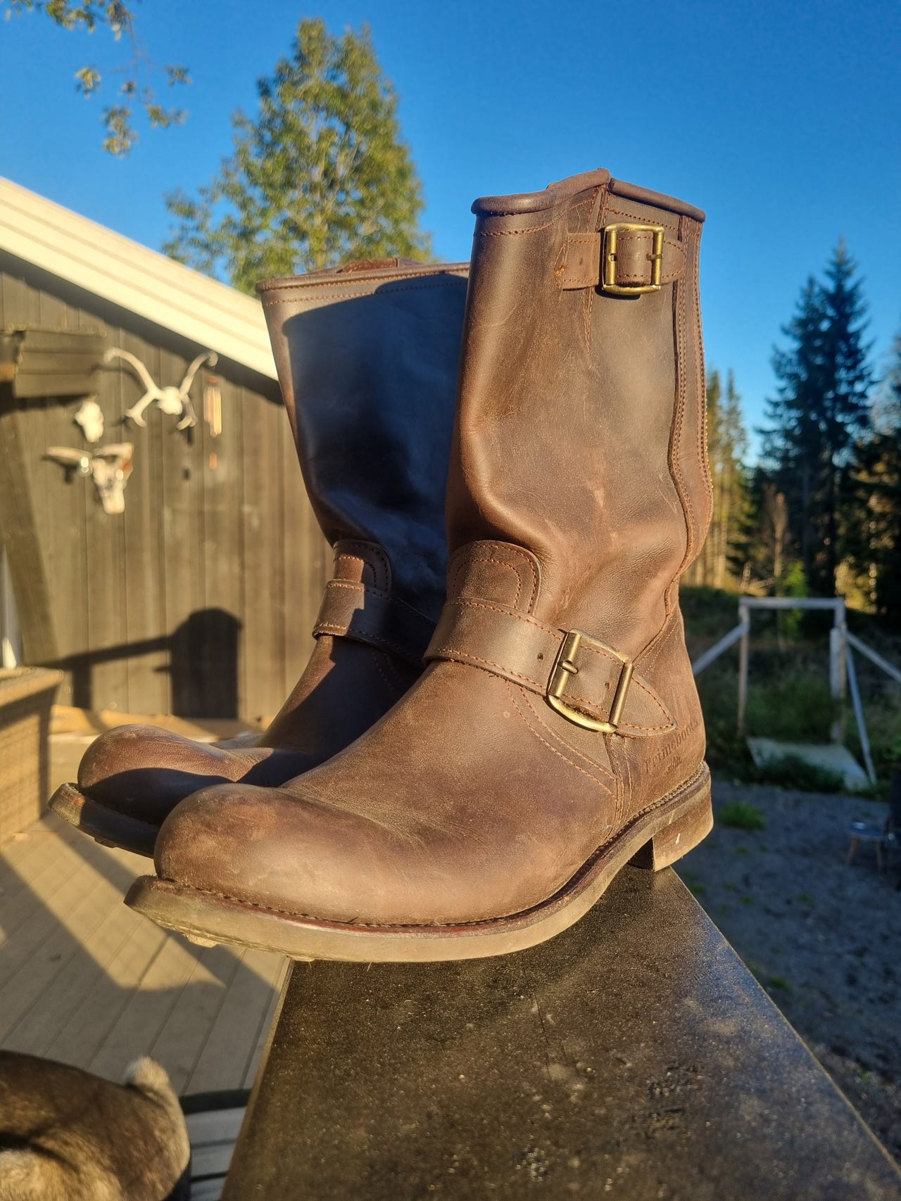 Primeboots brune str 39 | FINN-torget