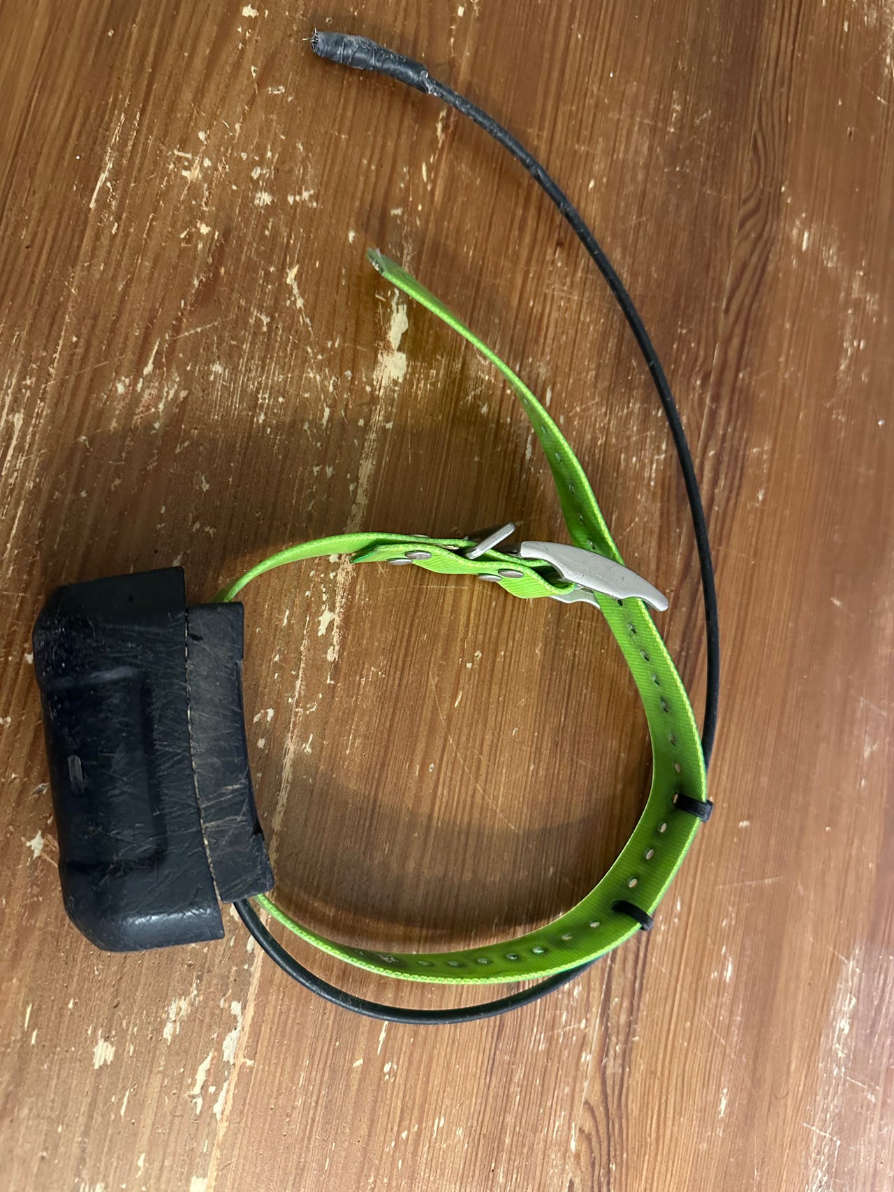 Garmin dc 40 | FINN-torget