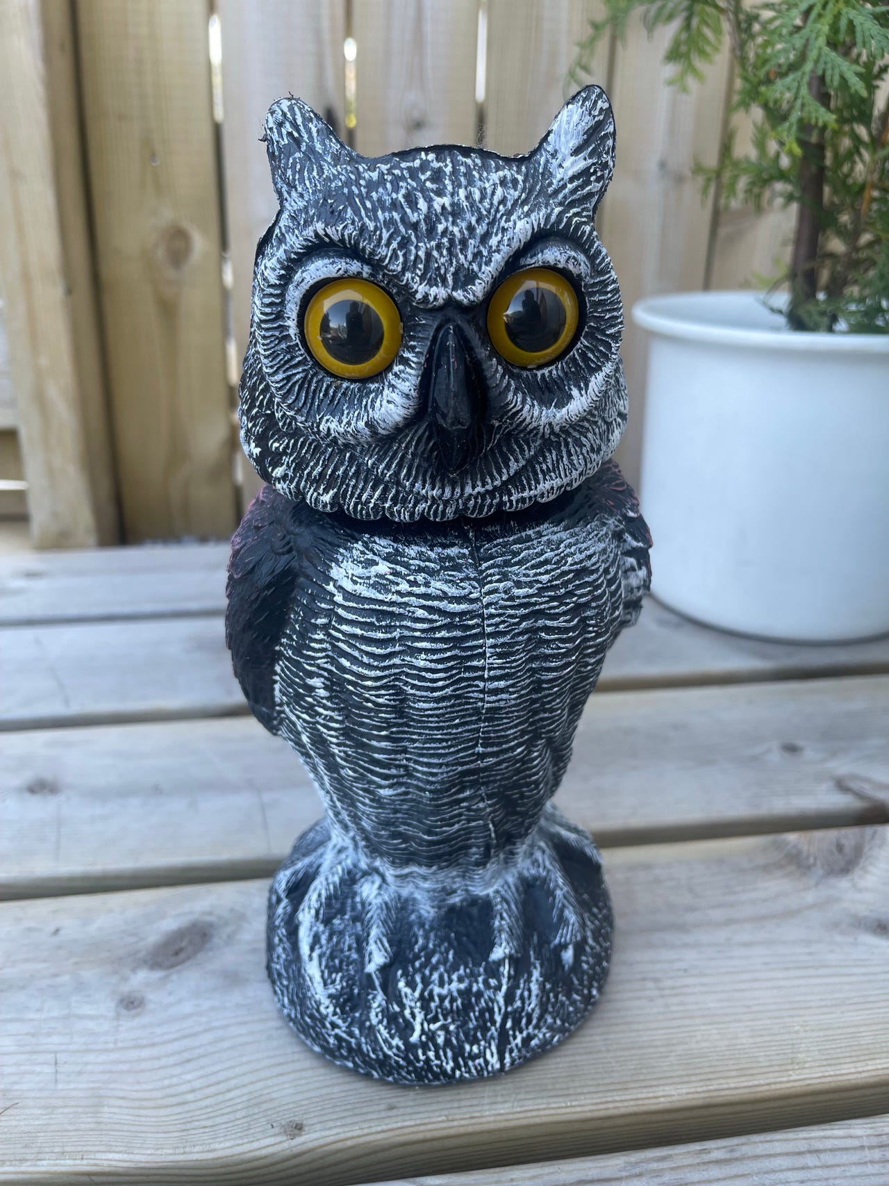 Ugle Figur Dekorasjon 🩶 for å skremme fugler bort 🐦 ⬛ | FINN-torget