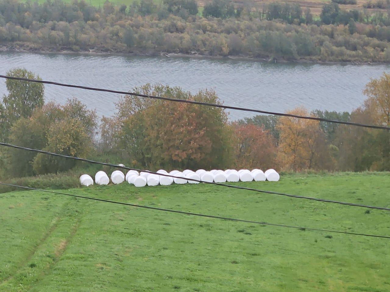 Rundballer 1 og 2 slått till salgs | FINN-torget