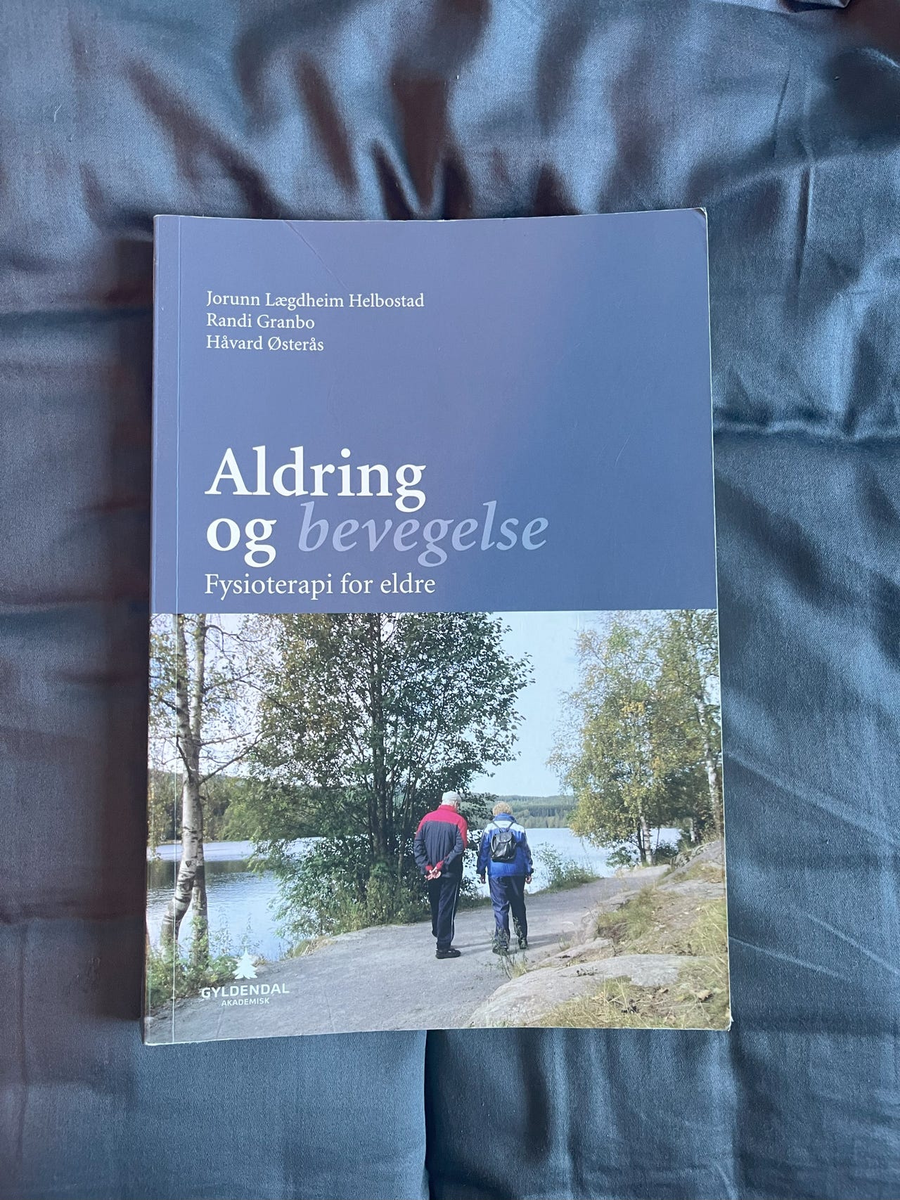 Aldring og bevegelse fysioterapi for eldre | FINN-torget