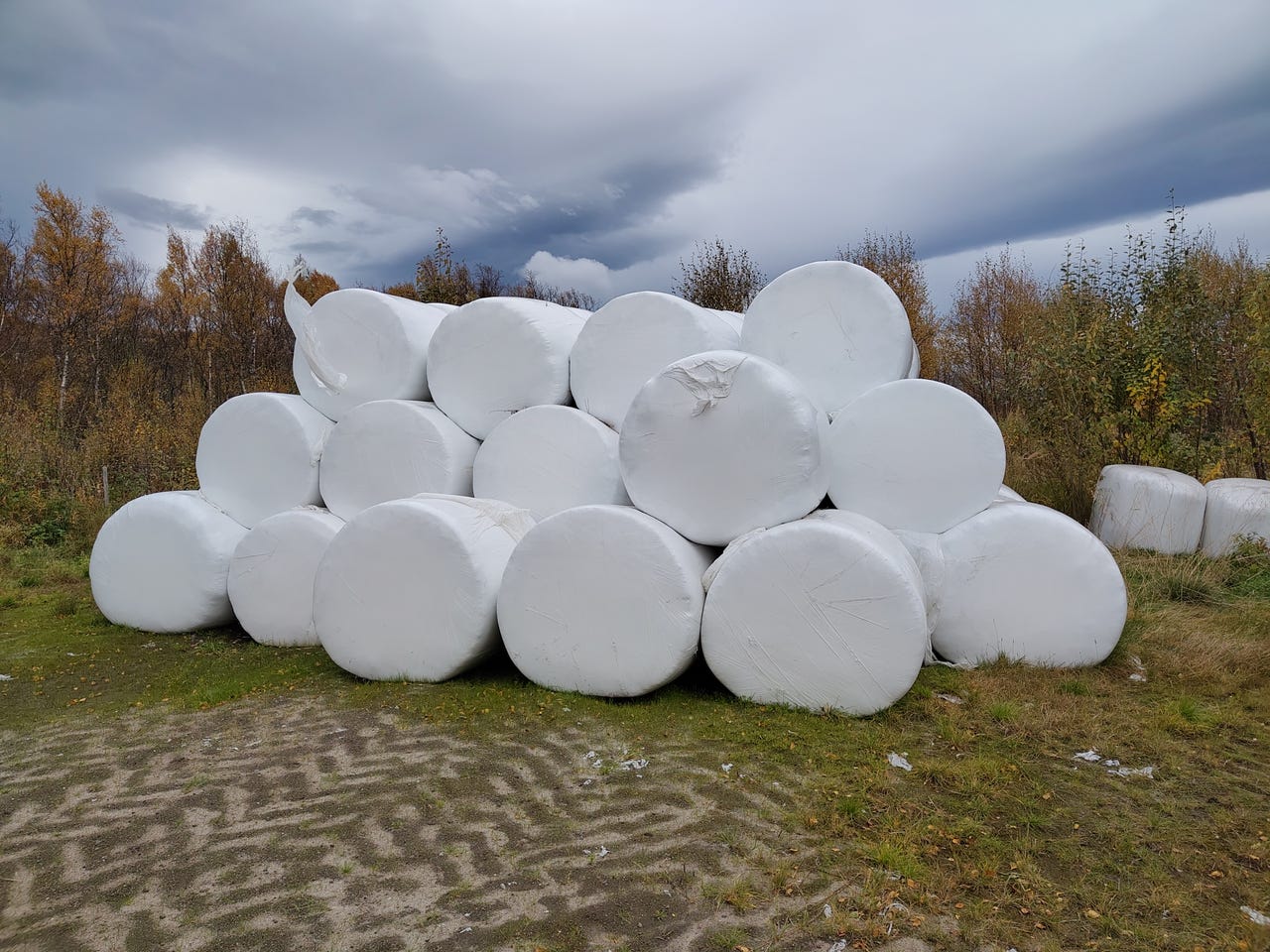 Grovfôr - rundball. 1. slått | FINN-torget