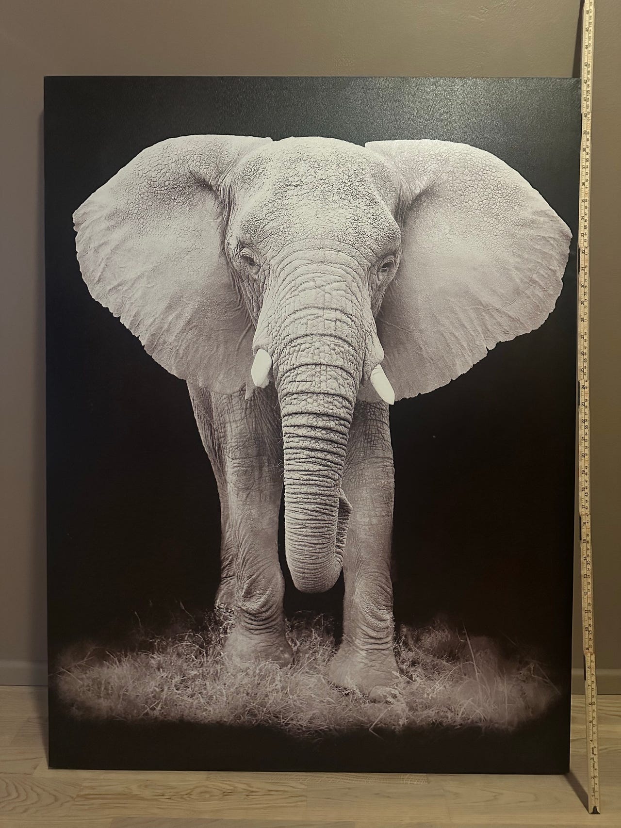 Stort bilde av elefant – 105x80 cm | FINN-torget