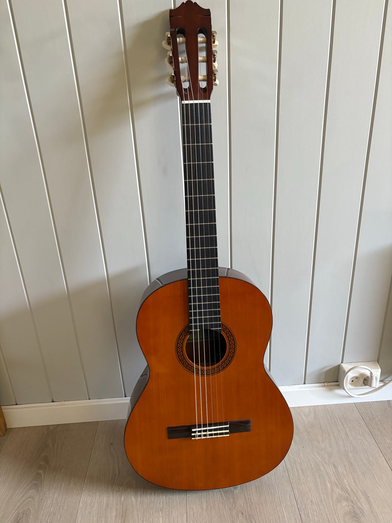Gitar med veske/sekk | FINN-torget