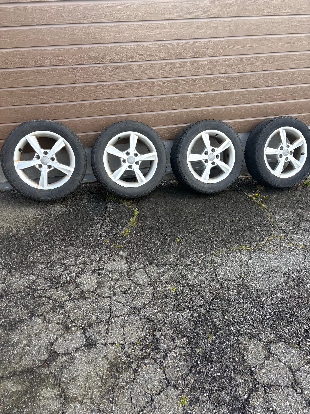 Originale Audi A3 e-tron felger med slitte Nokian Hakkapeliitta ...