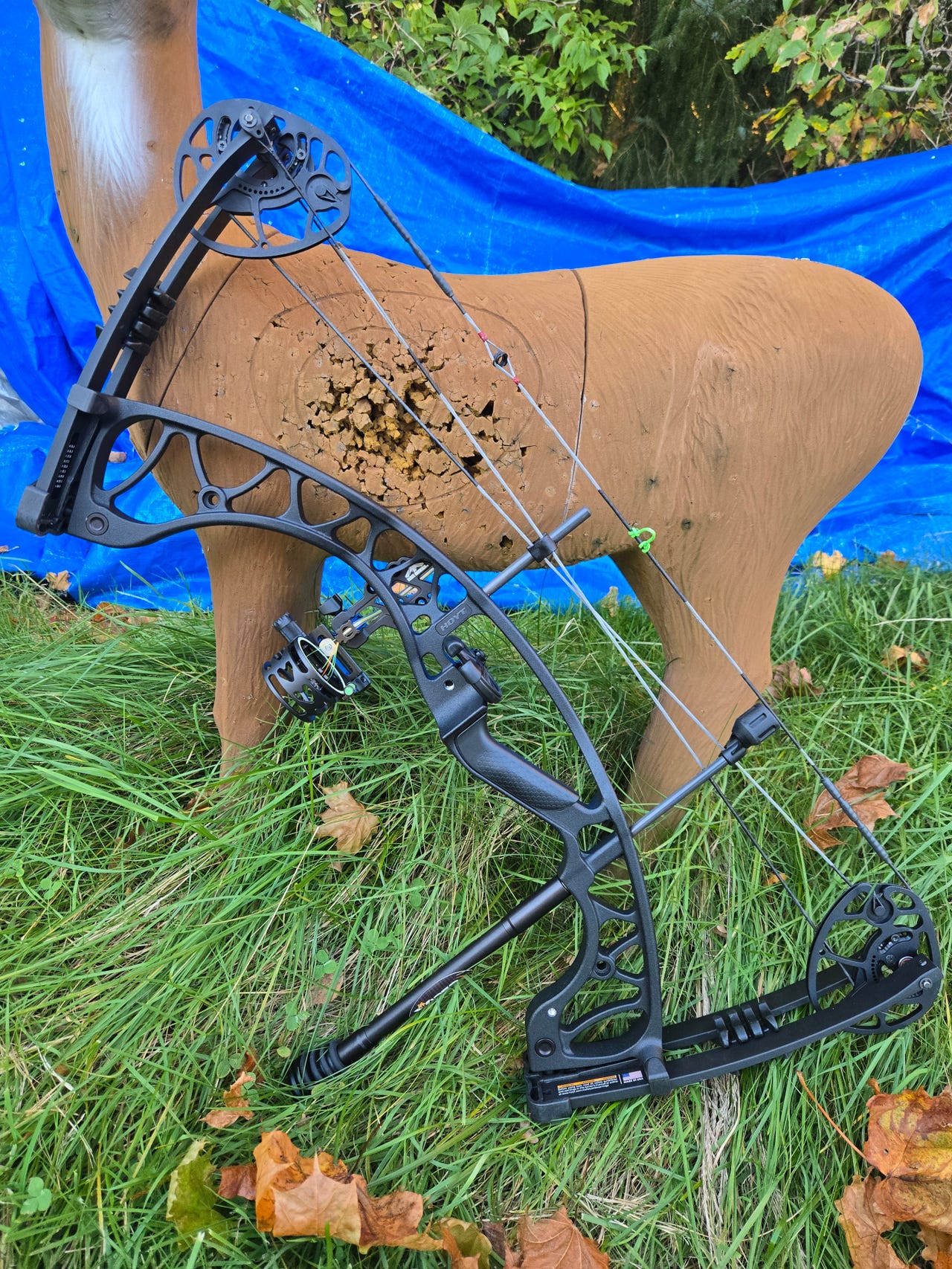 Nesten ubrukt Hoyt Torrex 60lbs compound bue pakke selges | FINN-torget