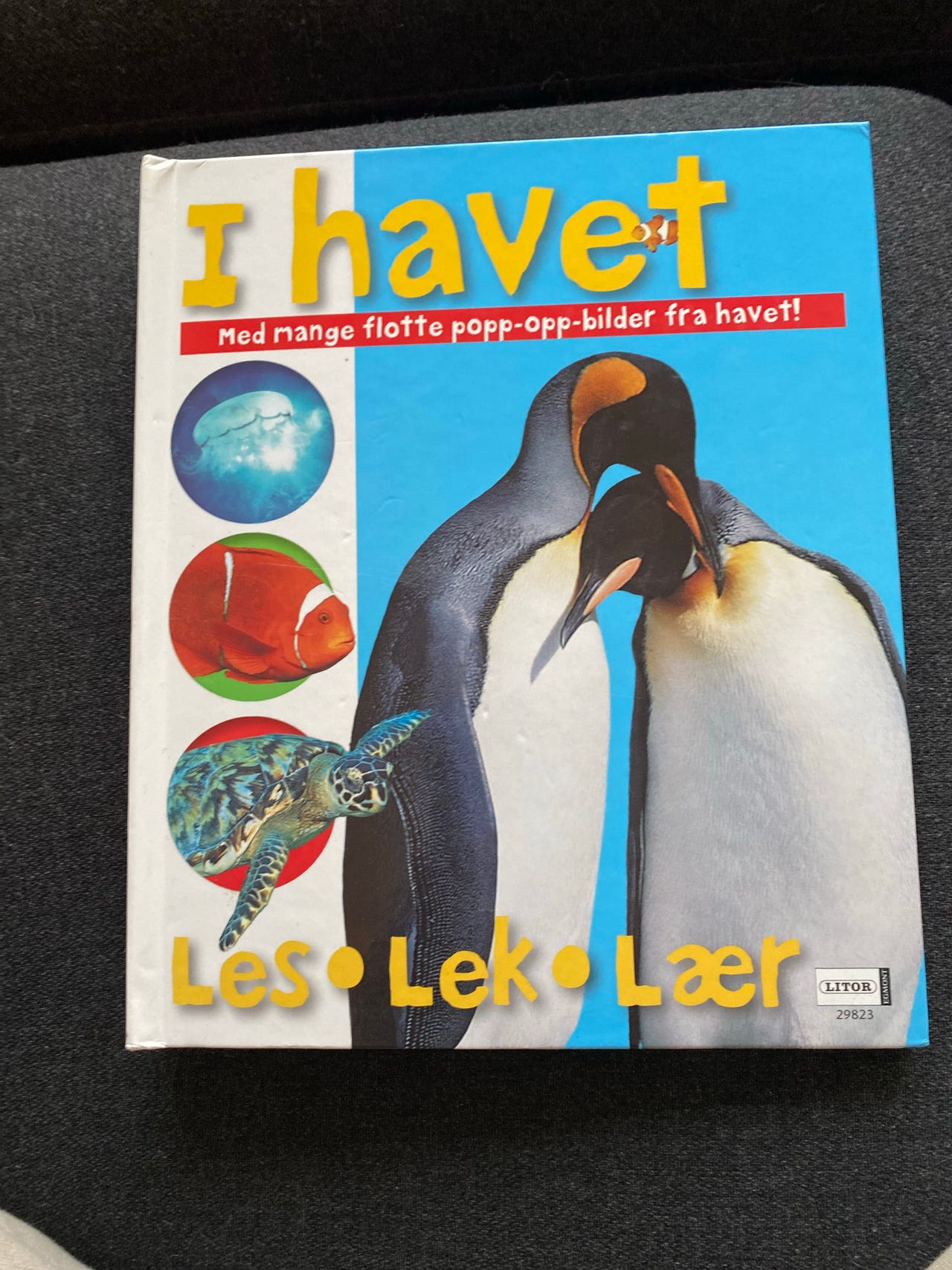 I havet - Pop-up bok med fakta og bilder | FINN-torget