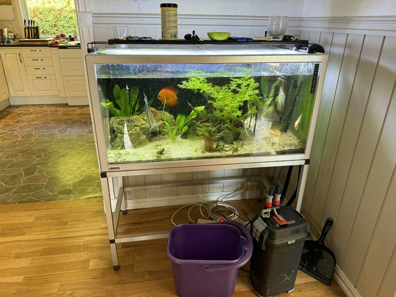 Akvarie selges inkl alt | FINN-torget