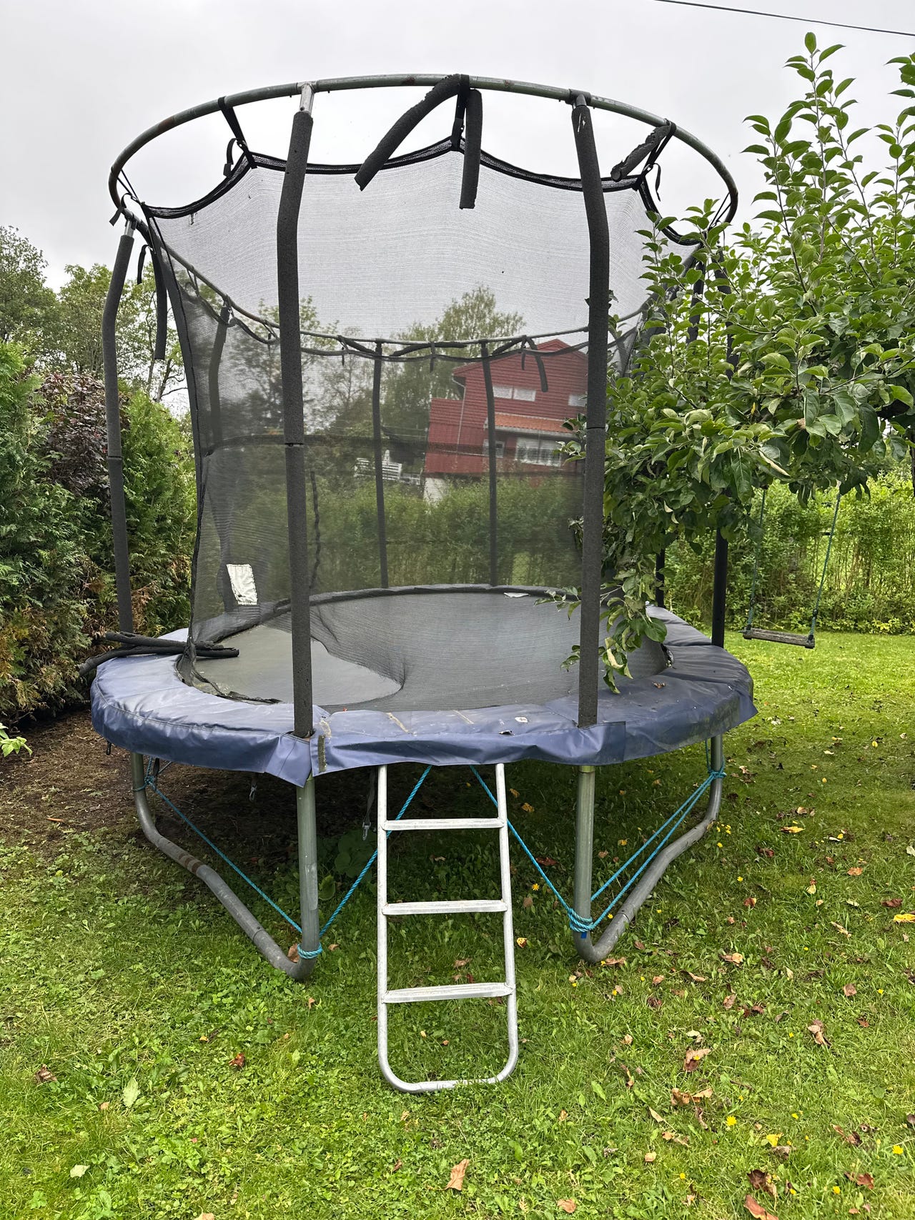 Jump King trampoline stor oval (ferdig demontert!) | FINN-torget