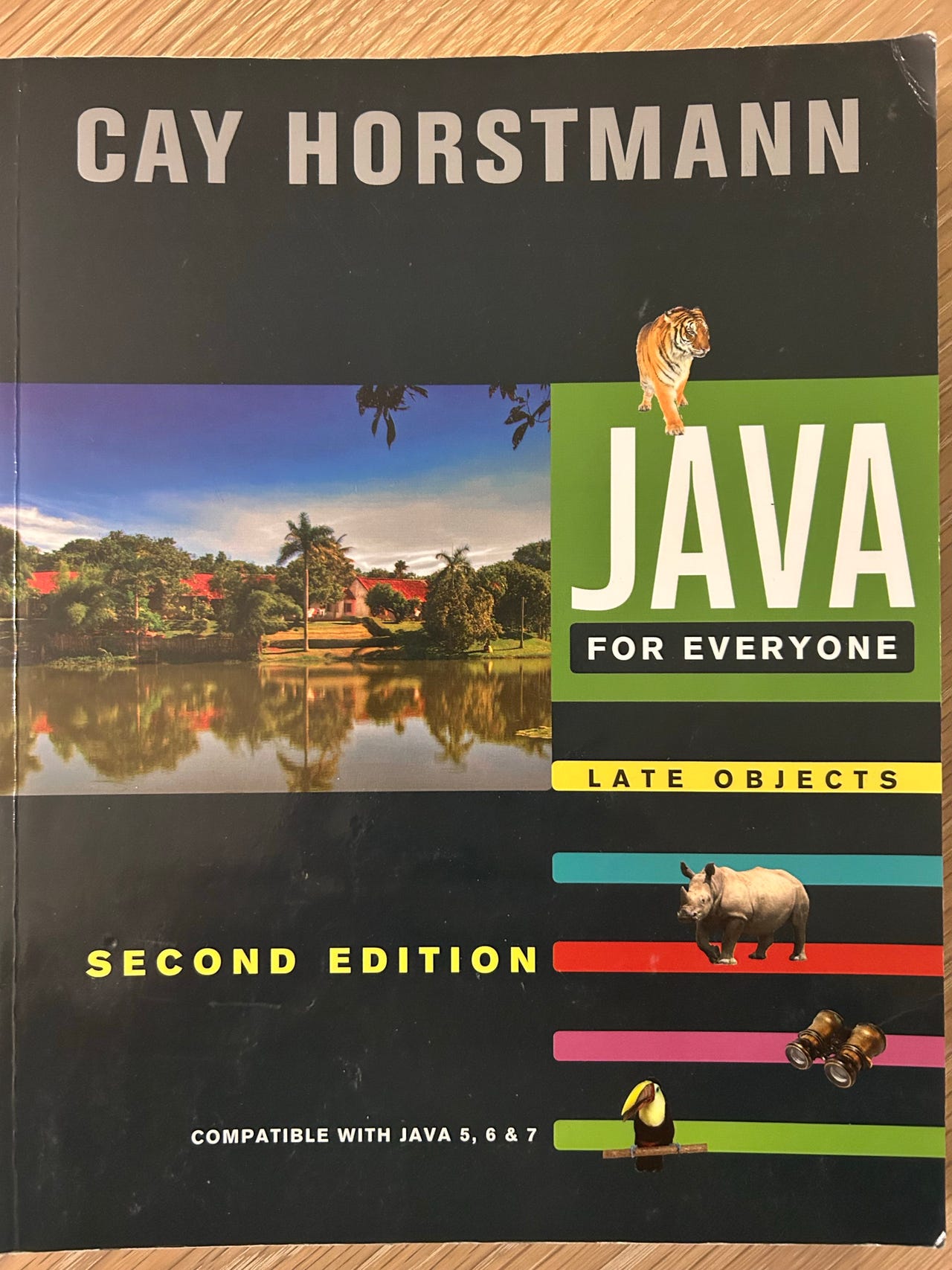 Late Objects Java For Everyone Textbook Informasjonsteknologi | FINN-torget