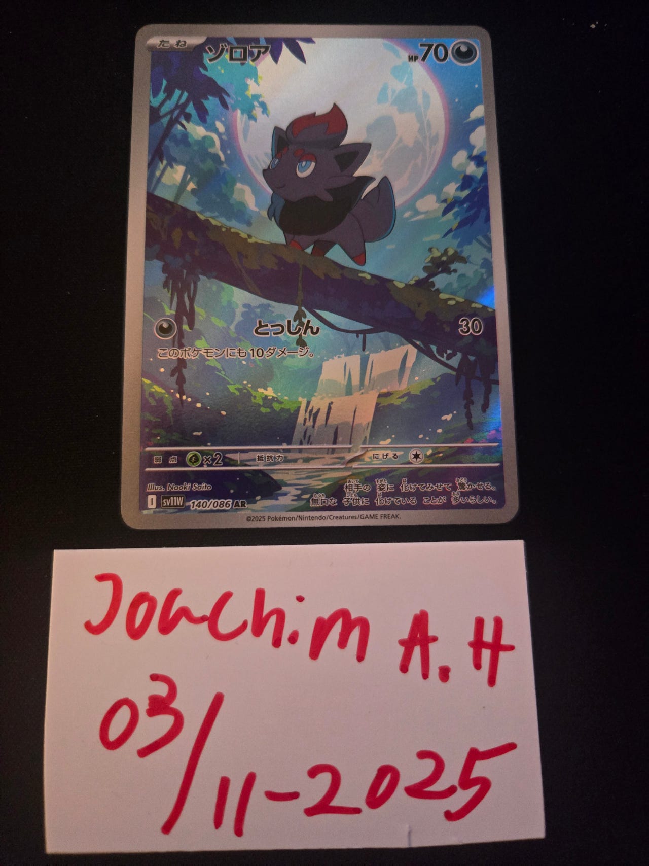Zorua AR 140/086 White Flare Japansk | FINN-torget