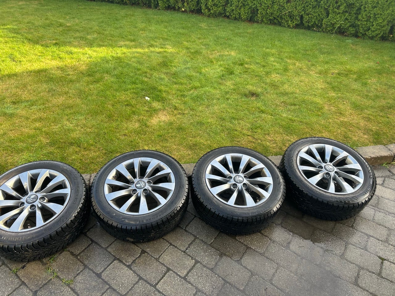 Piggfrie Vinterdekk 205/55R 16 | FINN-torget