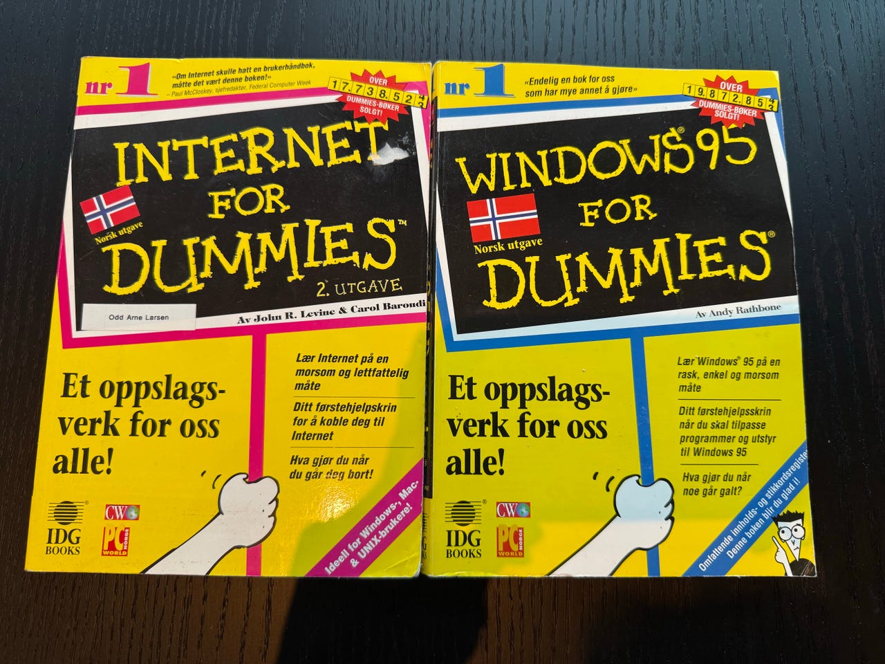 Retro datalitteratur – “For Dummies”-bøker + PC-klassikere (1990-tallet ...